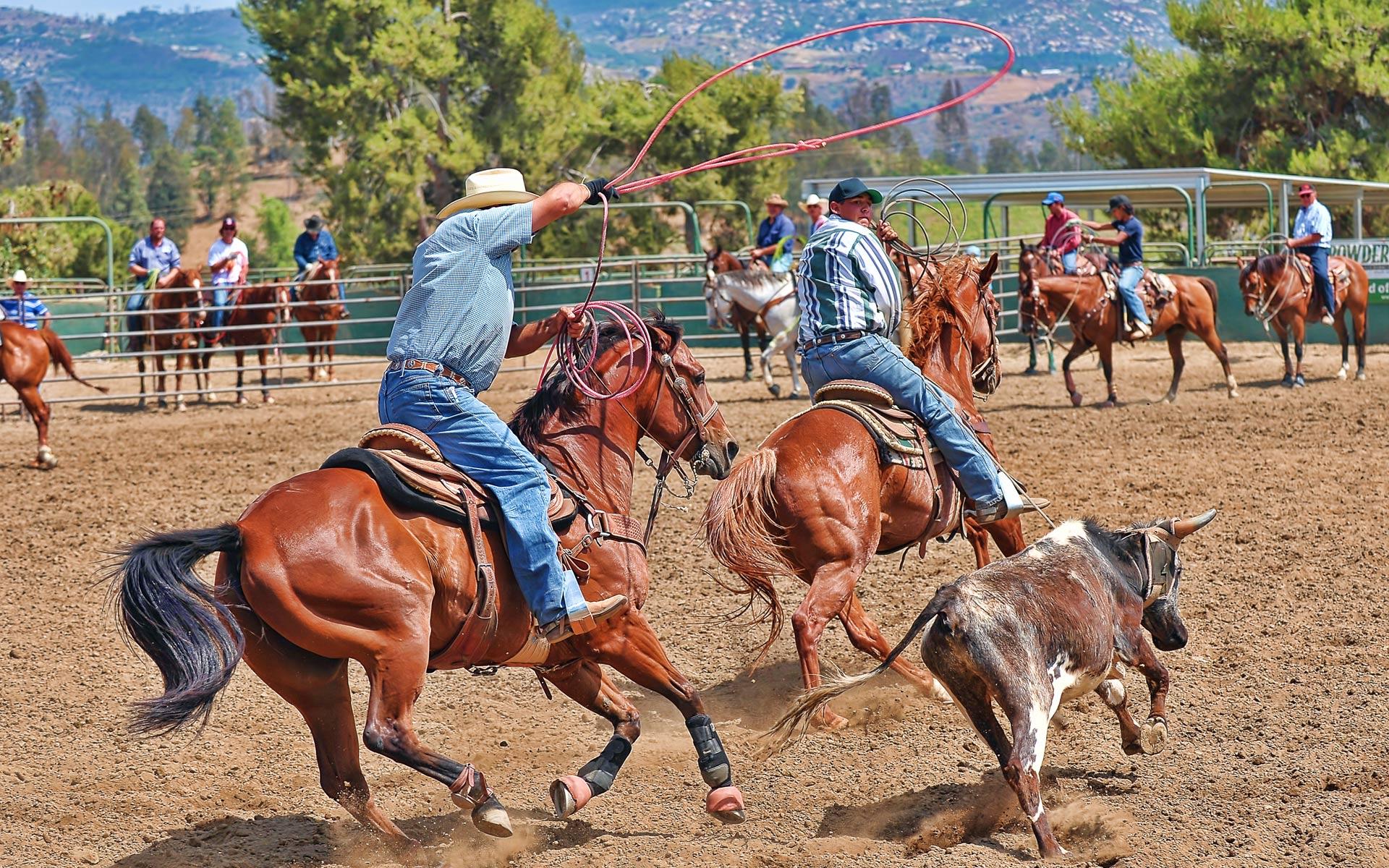 Team Roping Wallpapers - Top Free Team Roping Backgrounds - WallpaperAccess