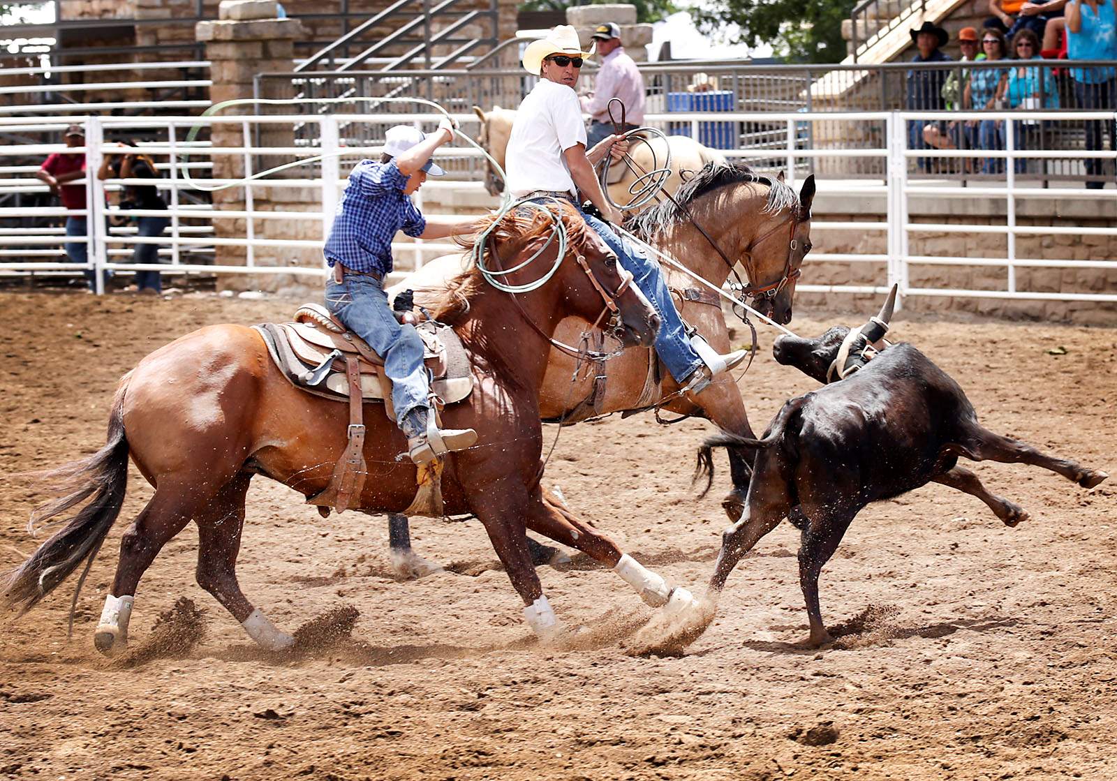 Team Roping Wallpapers - Top Free Team Roping Backgrounds - WallpaperAccess