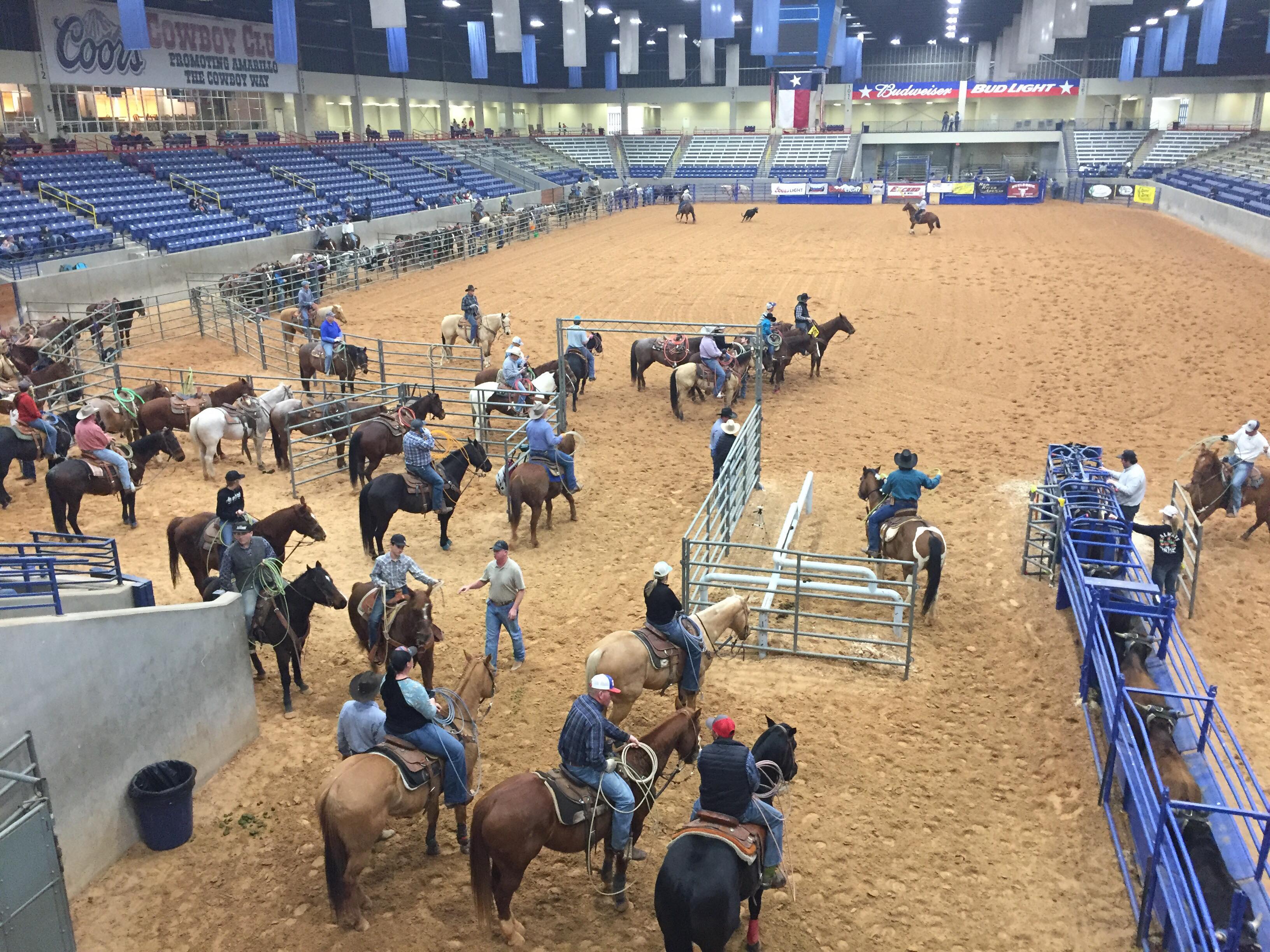 Team Roping Wallpapers - Top Free Team Roping Backgrounds - WallpaperAccess