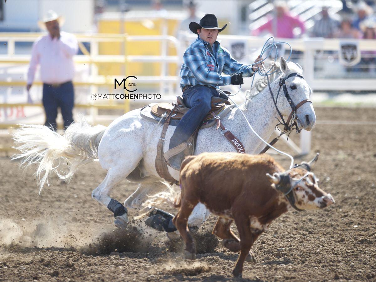 Team Roping Wallpapers - Top Free Team Roping Backgrounds - WallpaperAccess