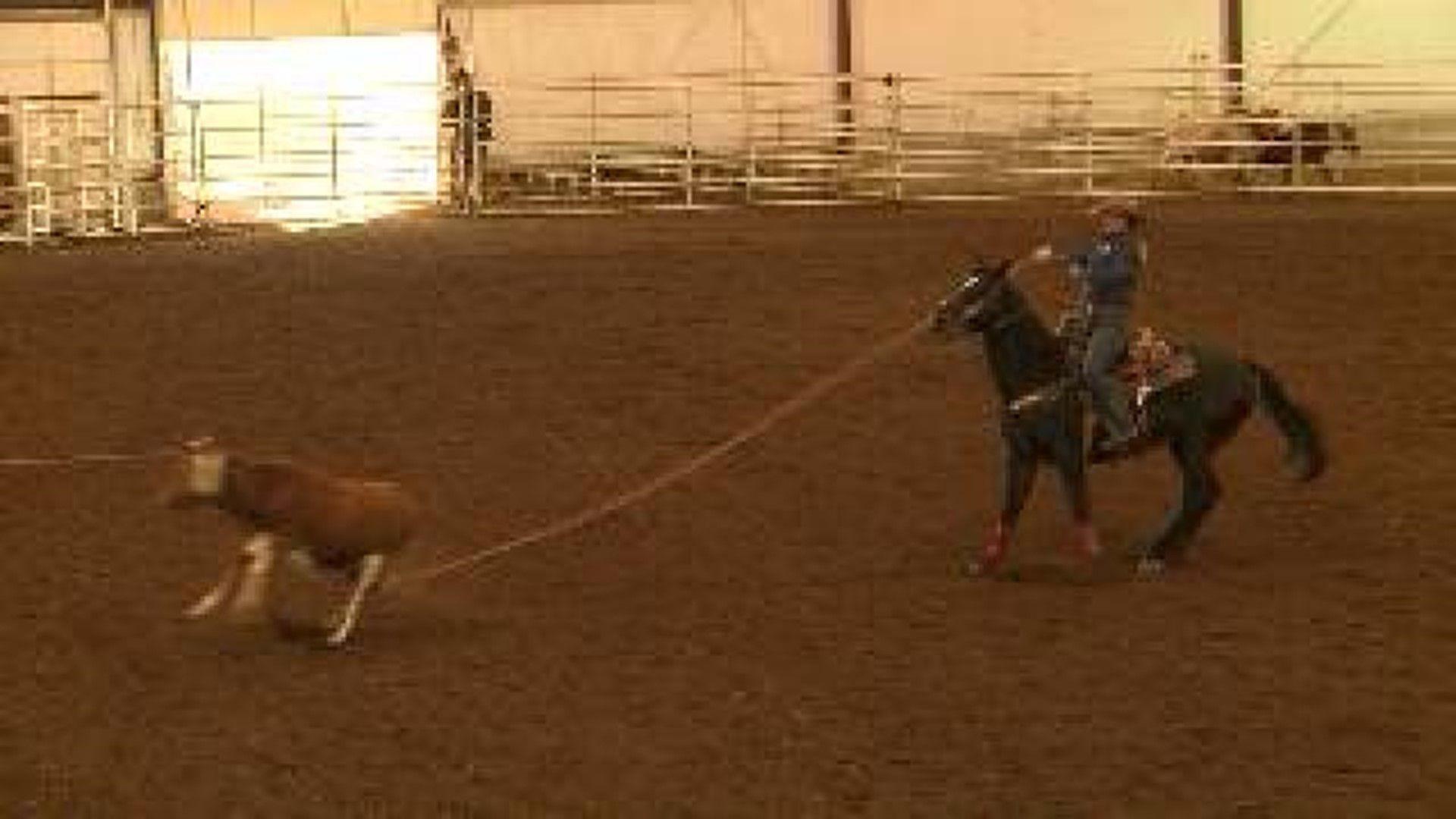 Team Roping Wallpapers - Top Free Team Roping Backgrounds - WallpaperAccess