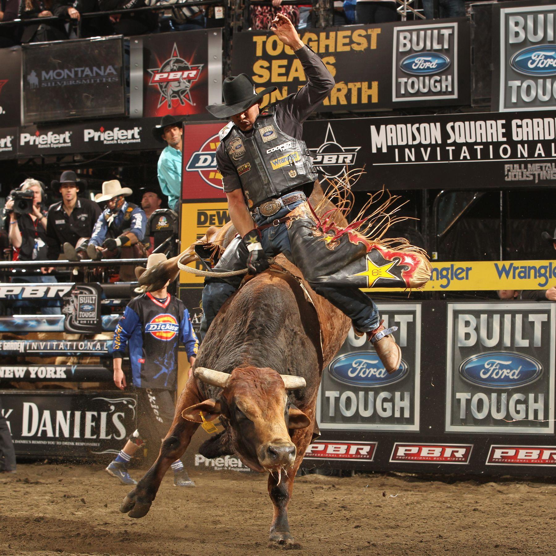 Team Roping Wallpapers - Top Free Team Roping Backgrounds - WallpaperAccess