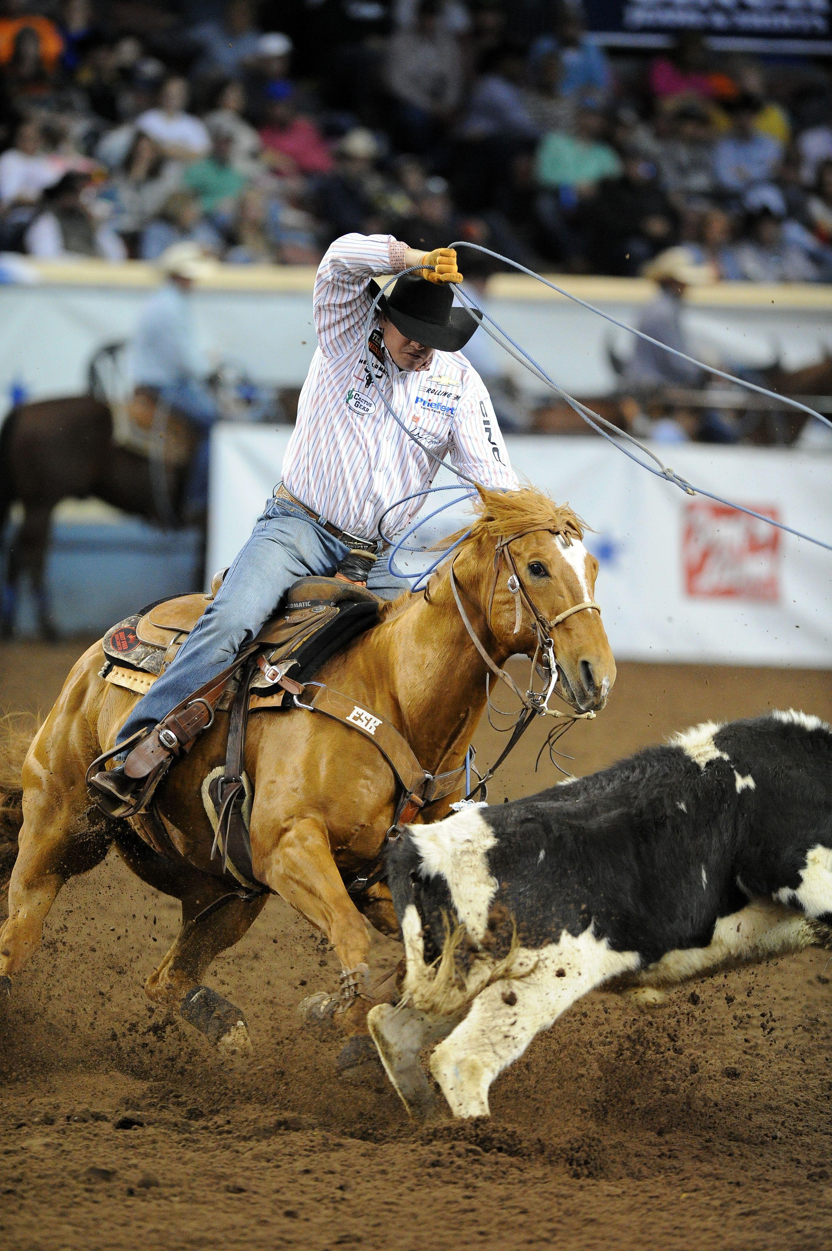 Team Roping Wallpapers - Top Free Team Roping Backgrounds - WallpaperAccess