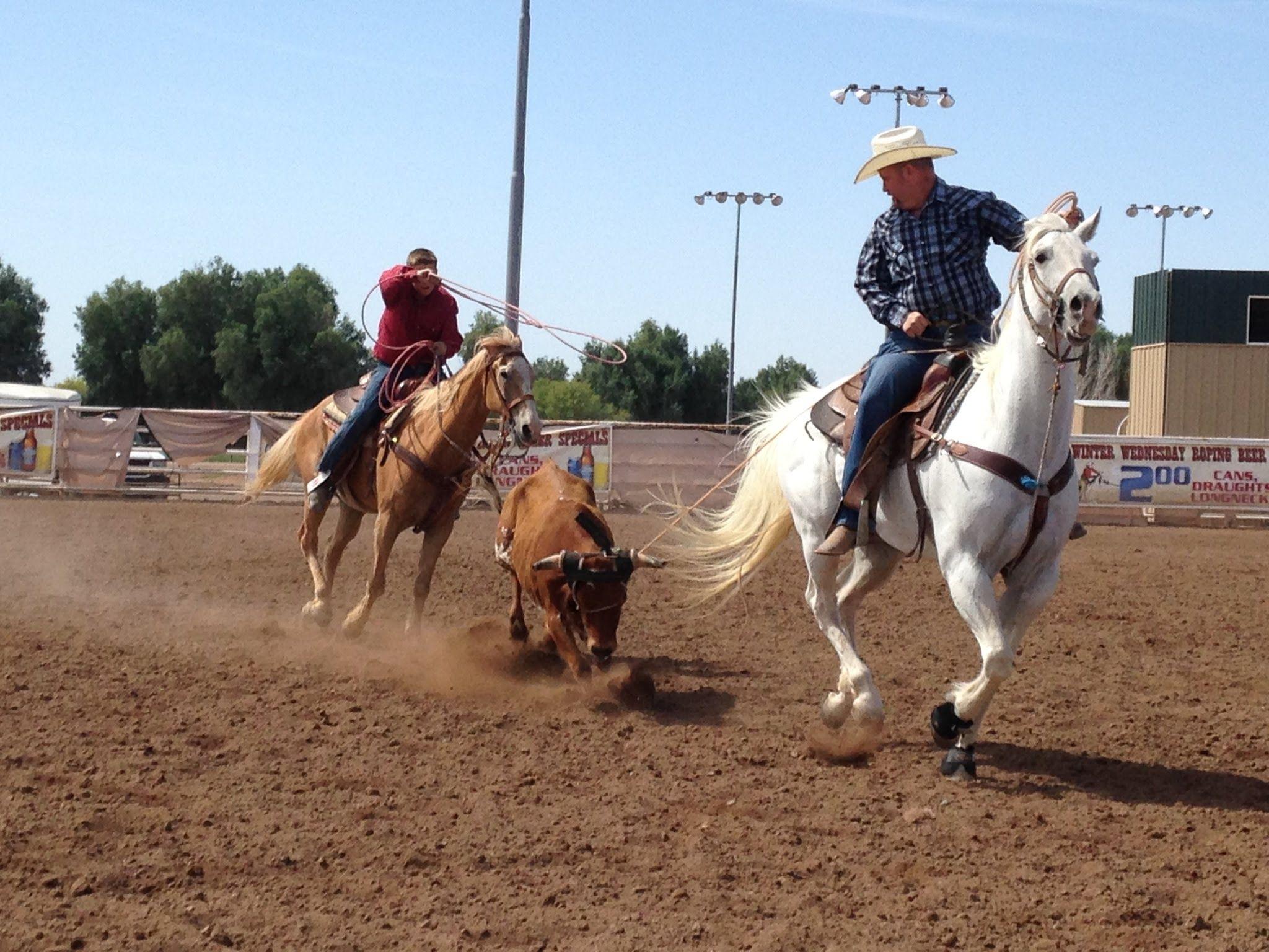 Team Roping Wallpapers - Top Free Team Roping Backgrounds - WallpaperAccess