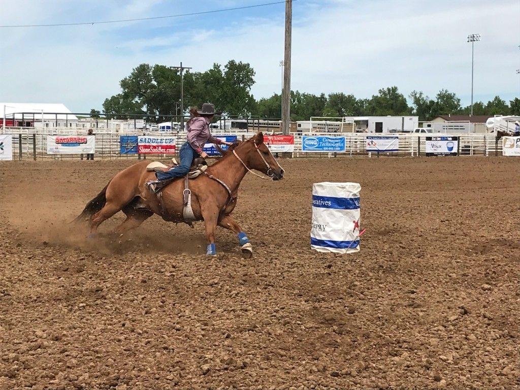 Team Roping Wallpapers - Top Free Team Roping Backgrounds - WallpaperAccess