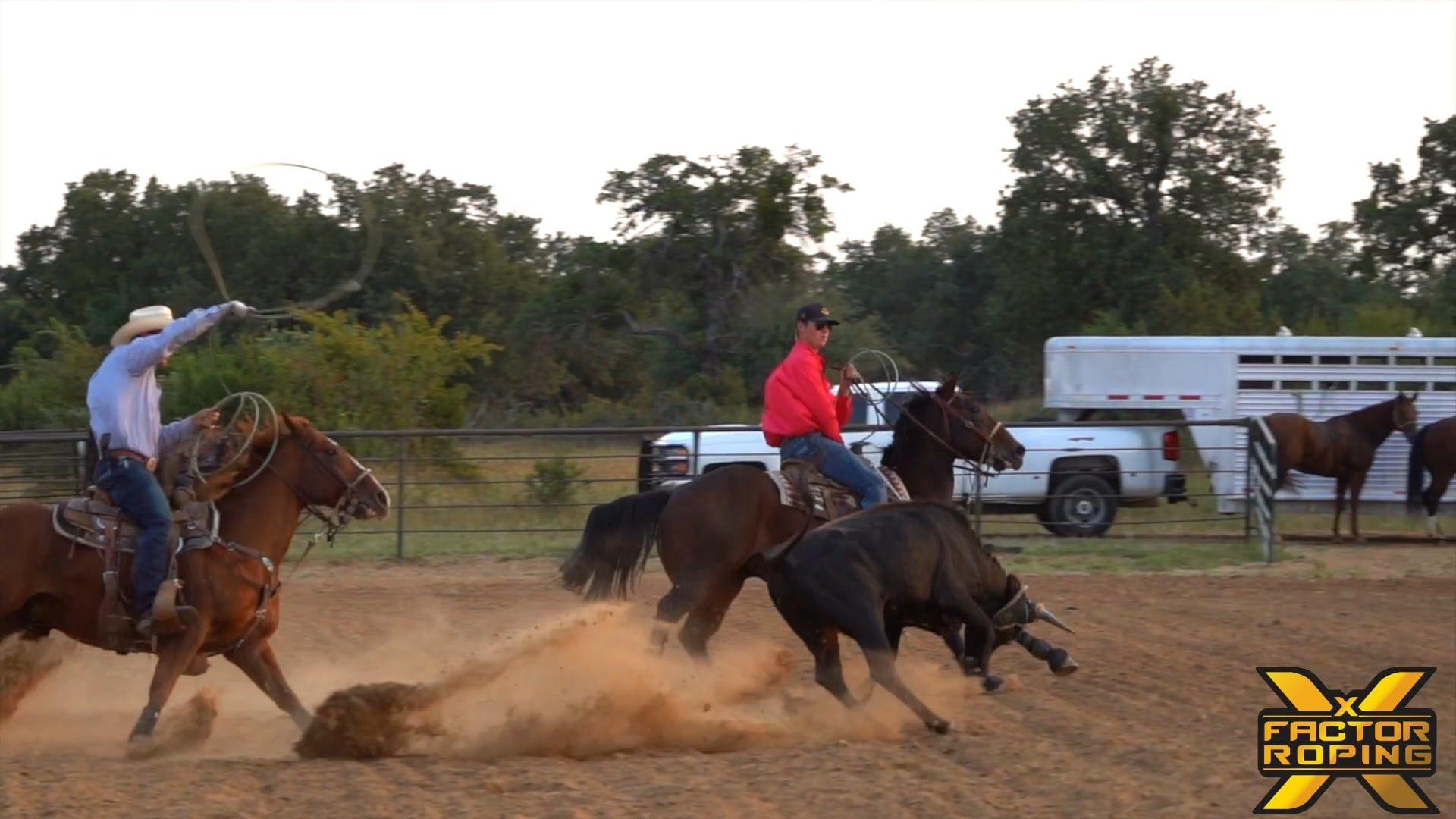 Team Roping Wallpapers - Top Free Team Roping Backgrounds - WallpaperAccess