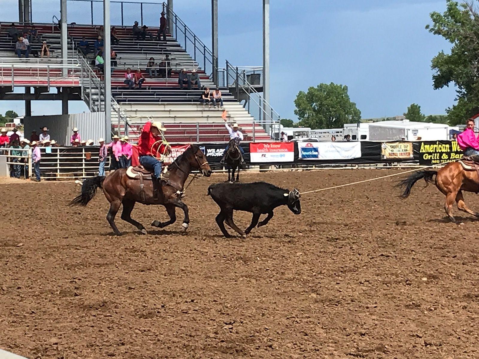 Team Roping Wallpapers - Top Free Team Roping Backgrounds - WallpaperAccess
