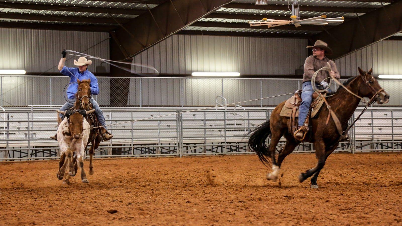 Team Roping Wallpapers - Top Free Team Roping Backgrounds - WallpaperAccess