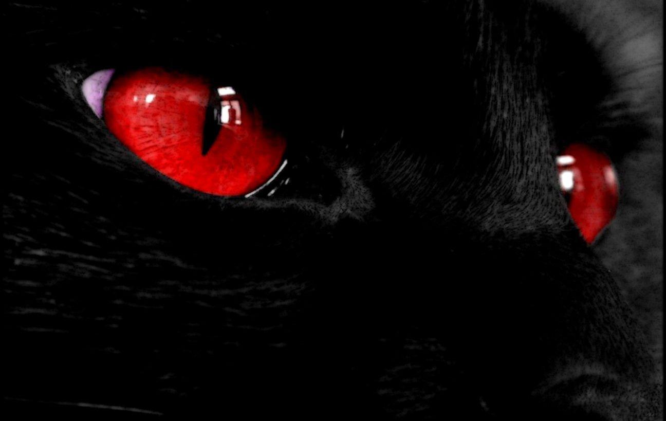 Cat Eyes Desktop Wallpapers - Top Free Cat Eyes Desktop Backgrounds ...