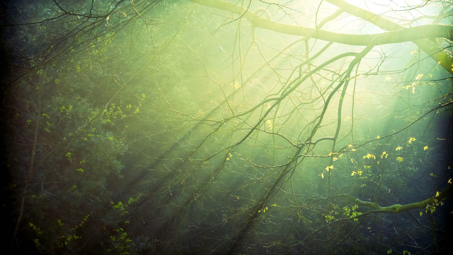 Nature Light Wallpapers Top Free Nature Light Backgrounds