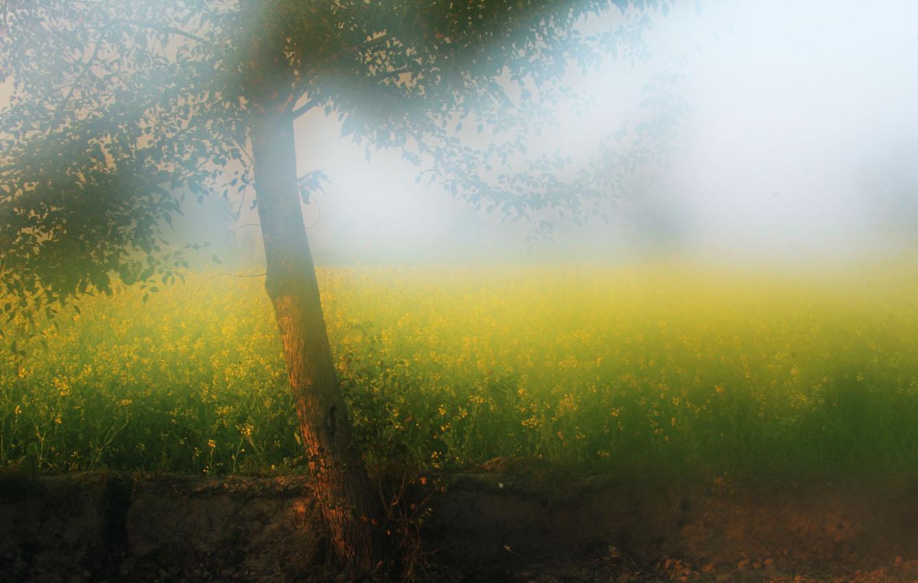 Natural Light Wallpapers - Top Free Natural Light Backgrounds ...