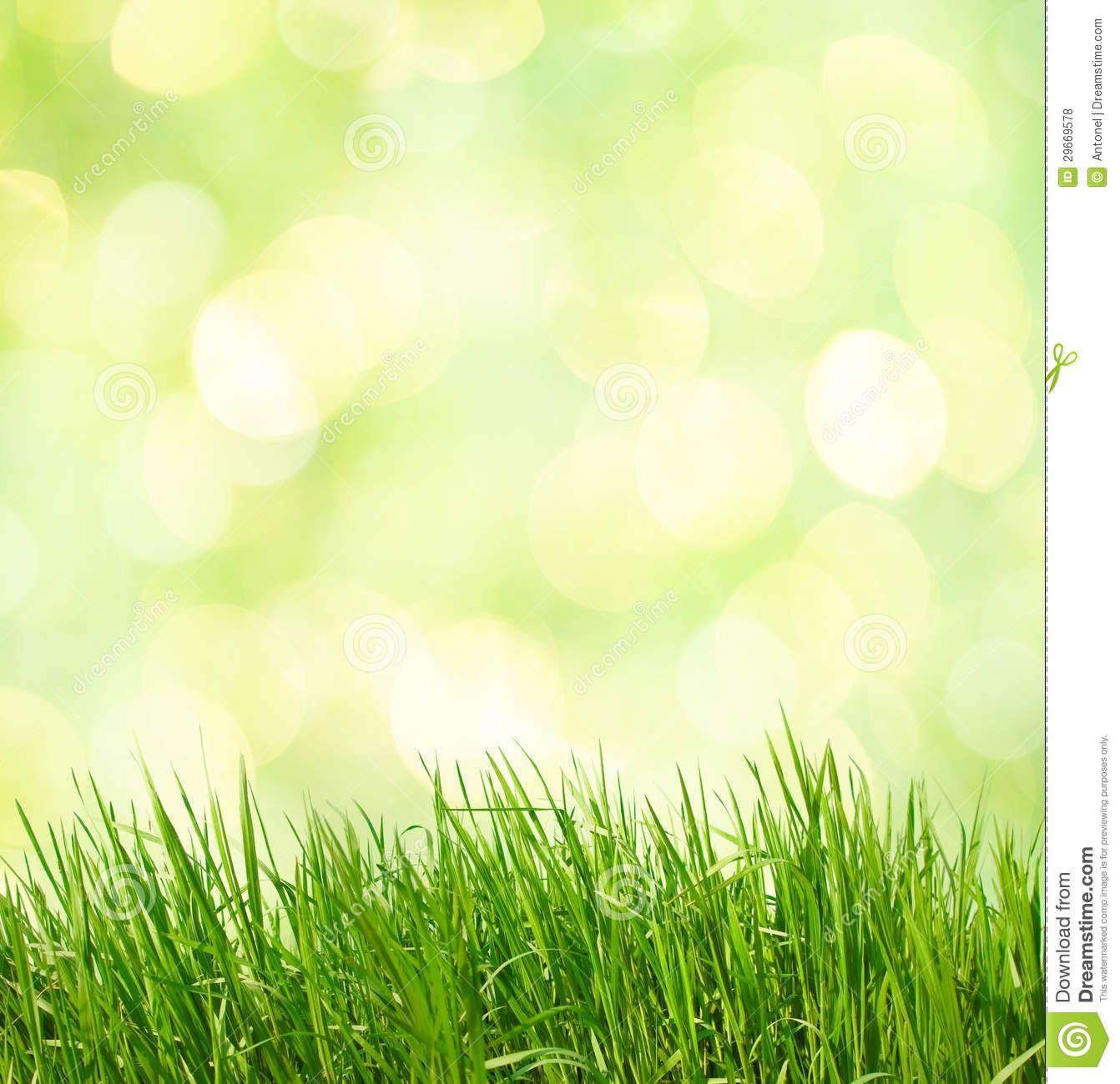 Nature Light Wallpapers - Top Free Nature Light Backgrounds ...