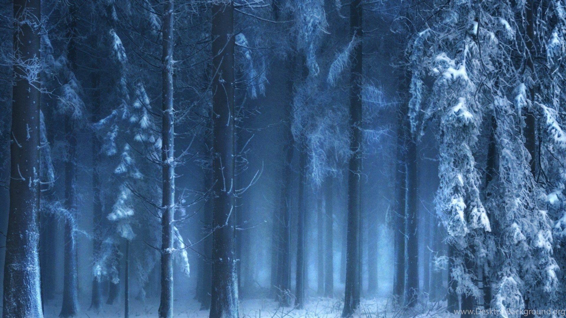 Mysterious Forest Wallpapers - Top Free Mysterious Forest Backgrounds ...