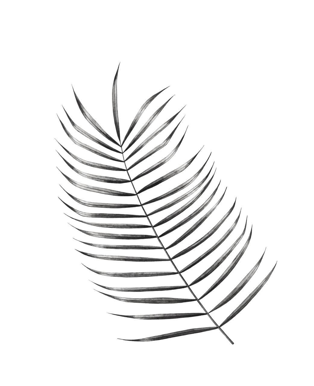 Minimal Leaf Wallpapers - Top Free Minimal Leaf Backgrounds ...