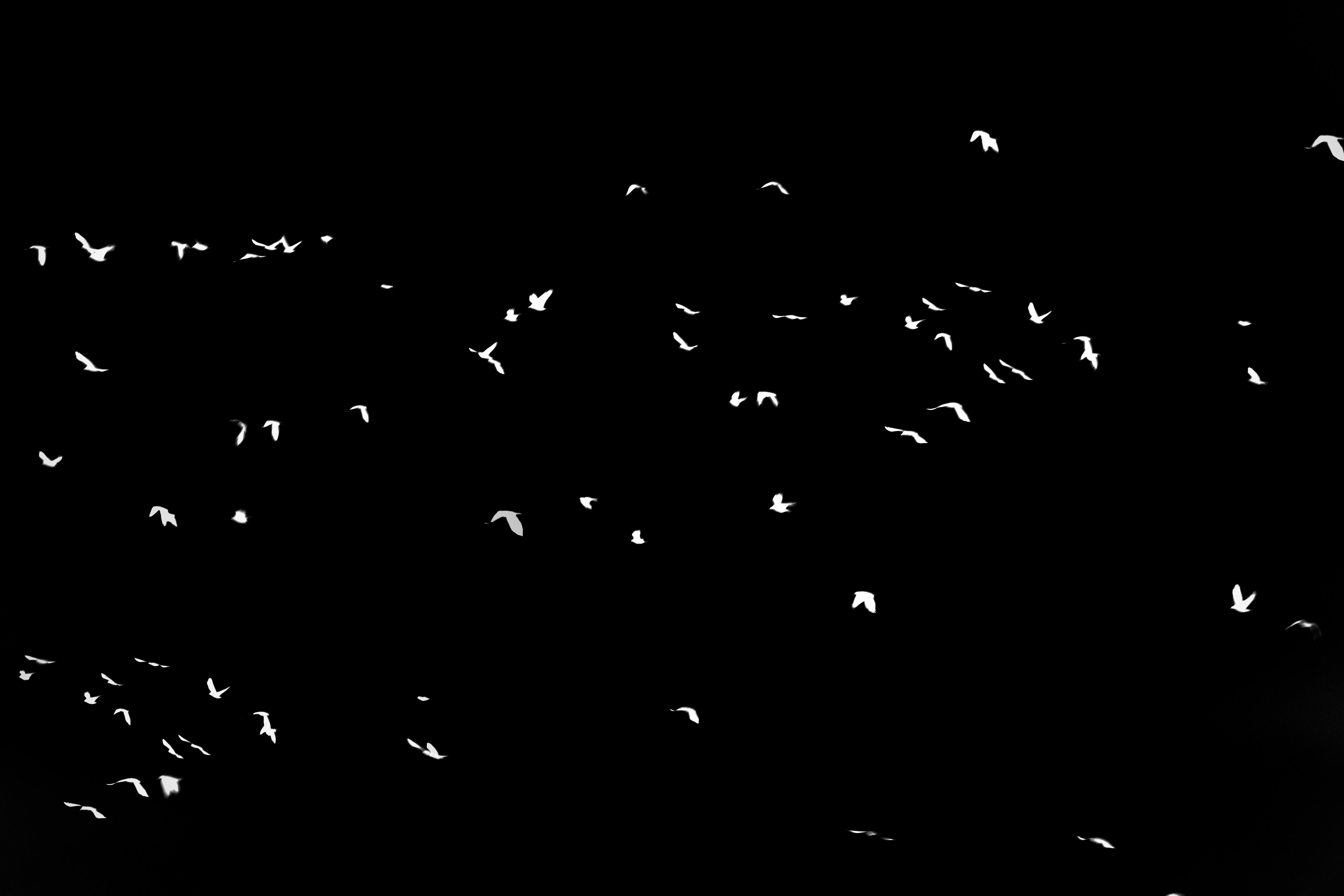 Inverted Wallpapers - Top Free Inverted Backgrounds - WallpaperAccess