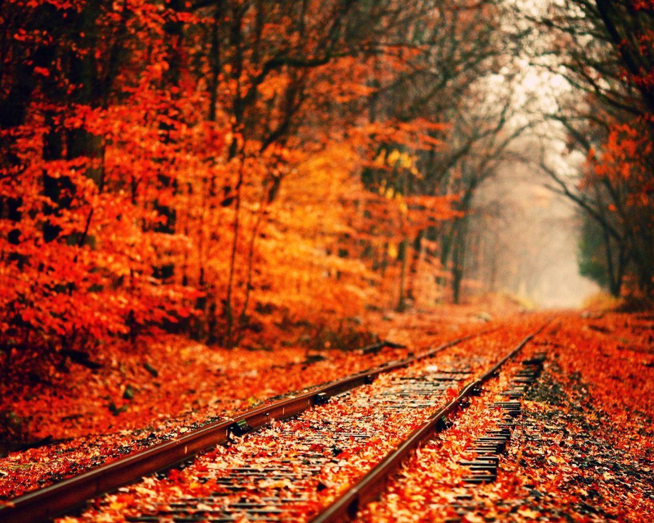 Autumn Thanksgiving Wallpapers - Top Free Autumn Thanksgiving ...