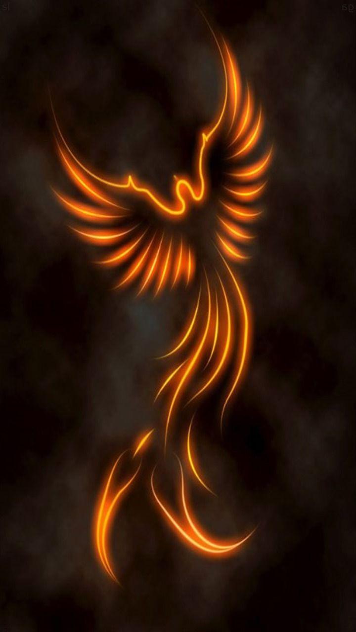 Minimalist Phoenix Wallpapers - Top Free Minimalist Phoenix Backgrounds ...