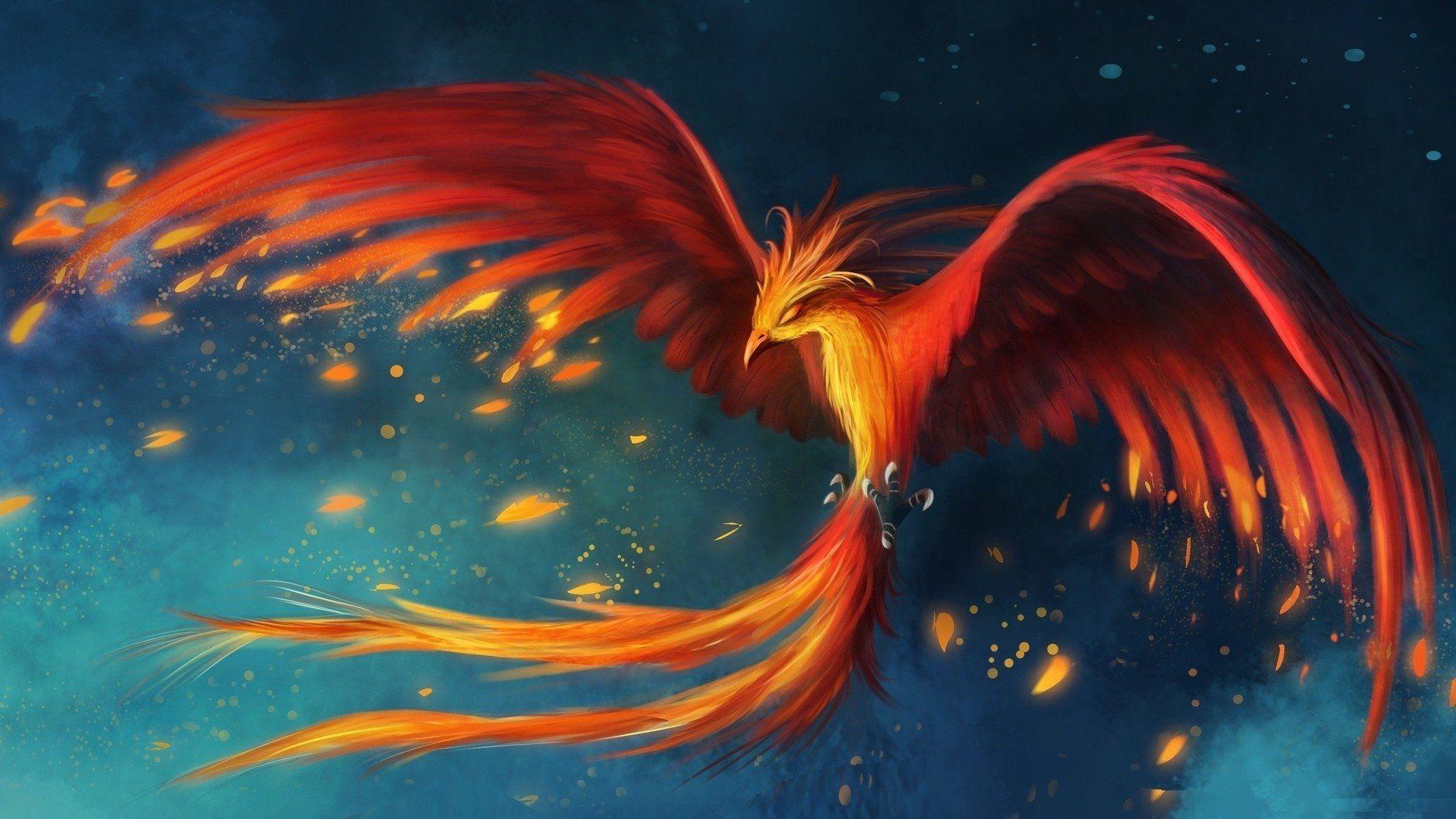 Minimalist Phoenix Wallpapers - Top Free Minimalist Phoenix Backgrounds ...