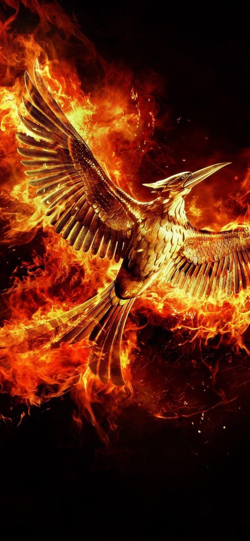 Minimalist Phoenix Wallpapers - Top Free Minimalist Phoenix Backgrounds ...