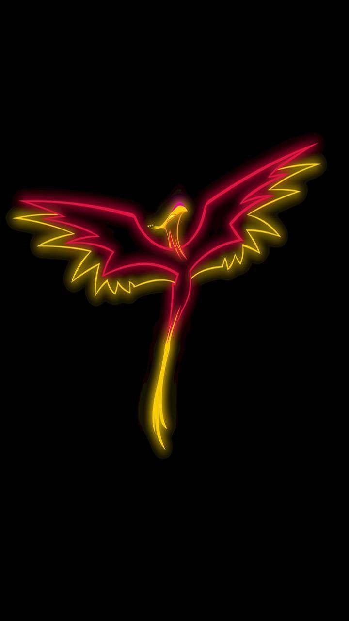 Minimalist Phoenix Wallpapers - Top Free Minimalist Phoenix Backgrounds ...