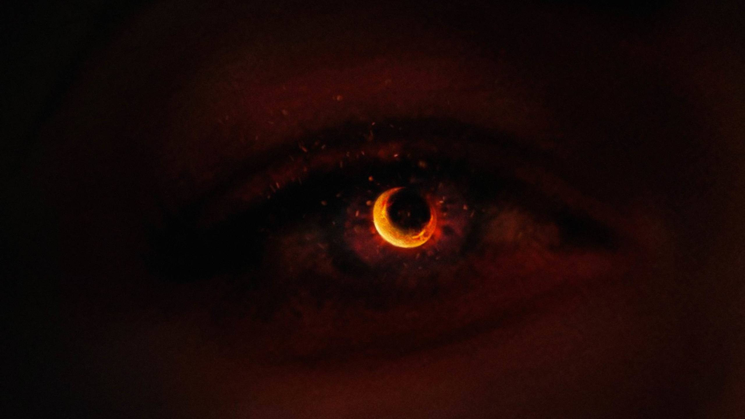 Minimalist Phoenix Wallpapers - Top Free Minimalist Phoenix Backgrounds ...