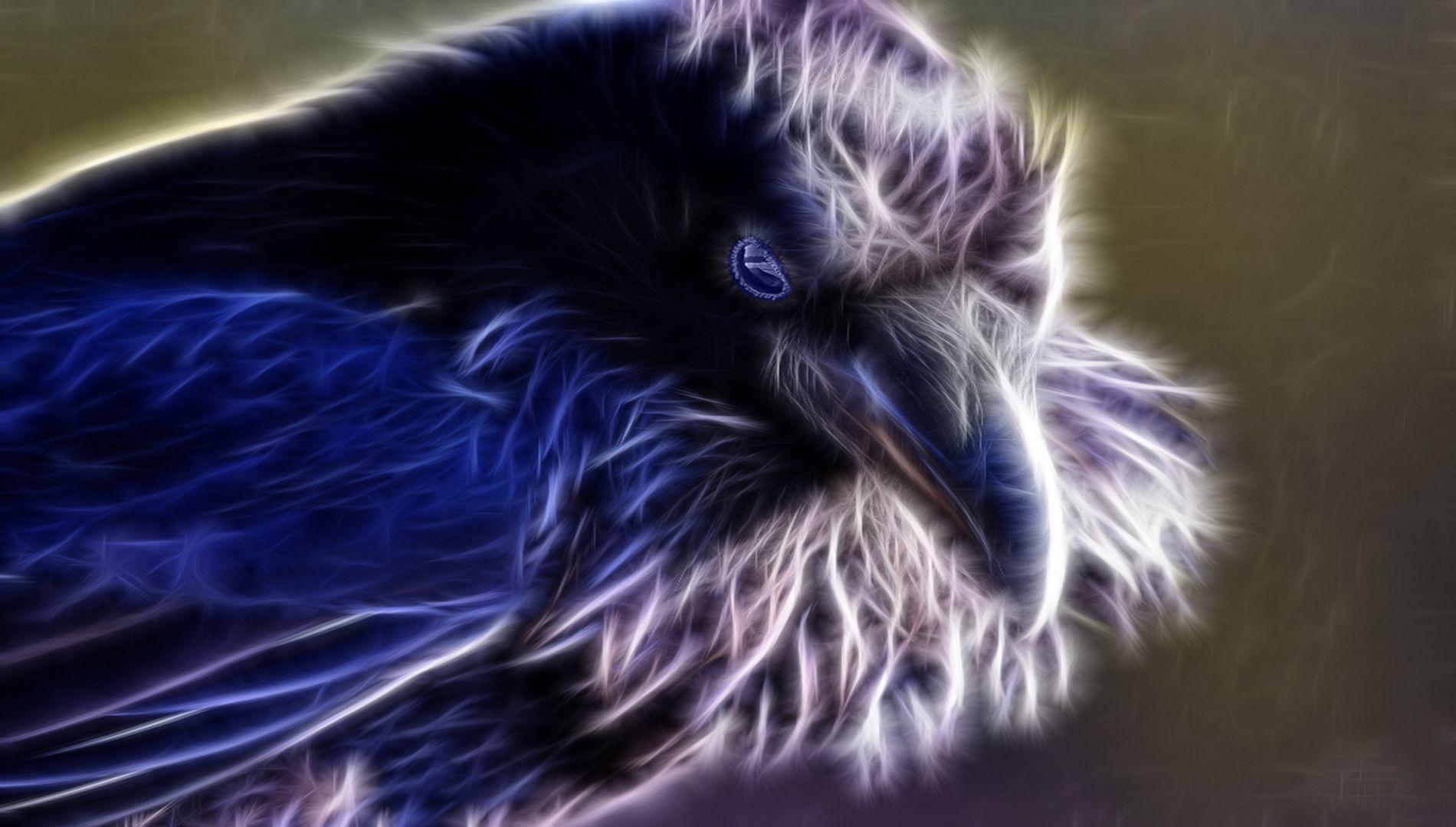 Raven Art Wallpapers - Top Free Raven Art Backgrounds - WallpaperAccess