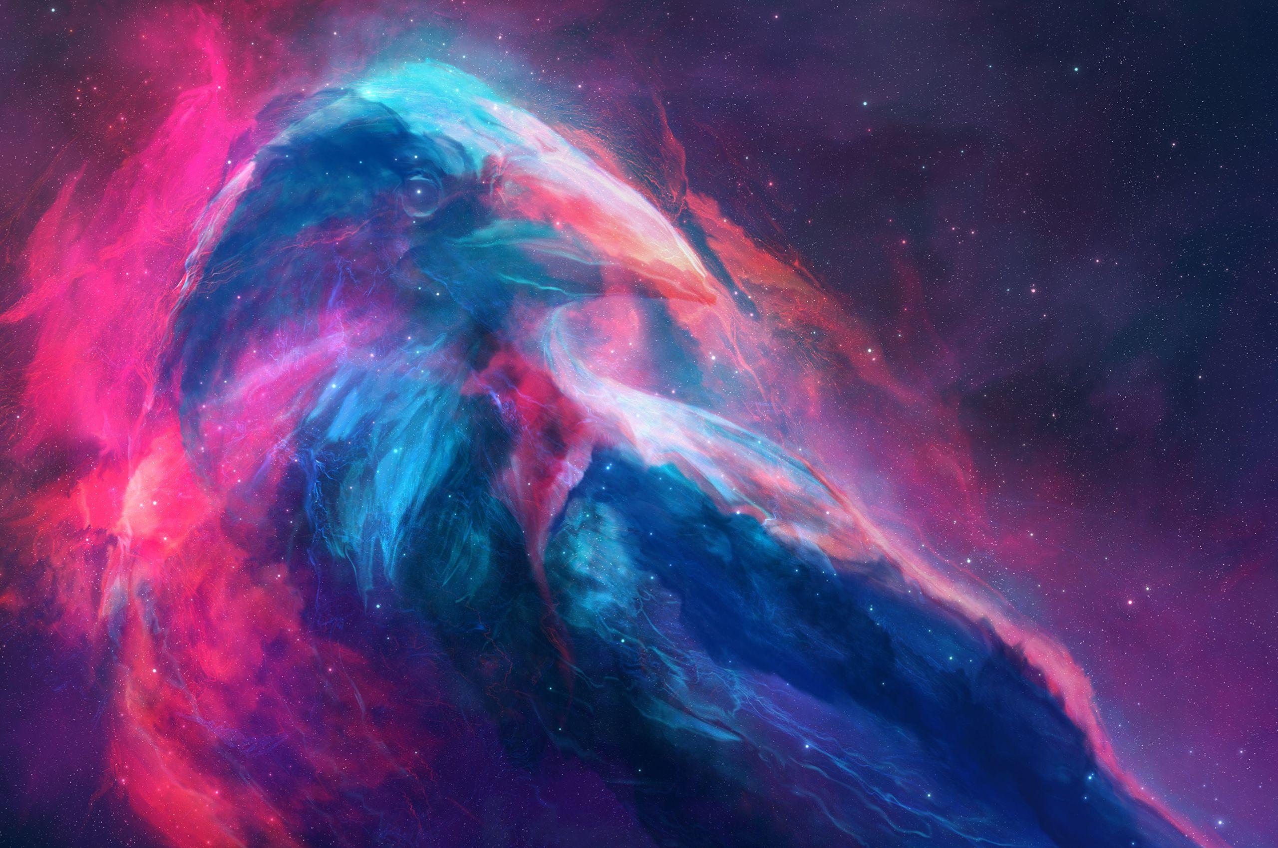 Raven Art Wallpapers - Top Free Raven Art Backgrounds - WallpaperAccess