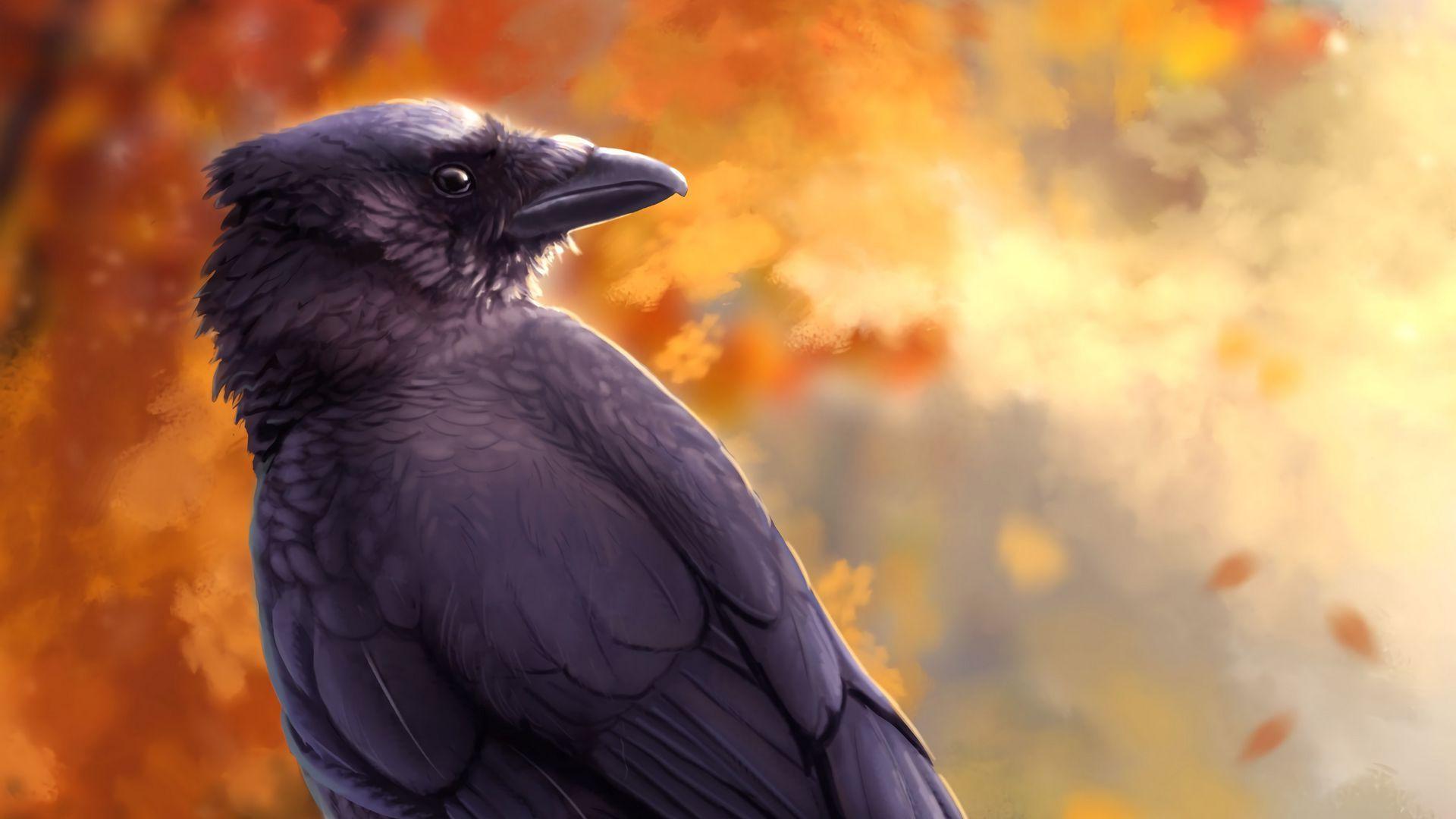 Raven Art Wallpapers - Top Free Raven Art Backgrounds - WallpaperAccess