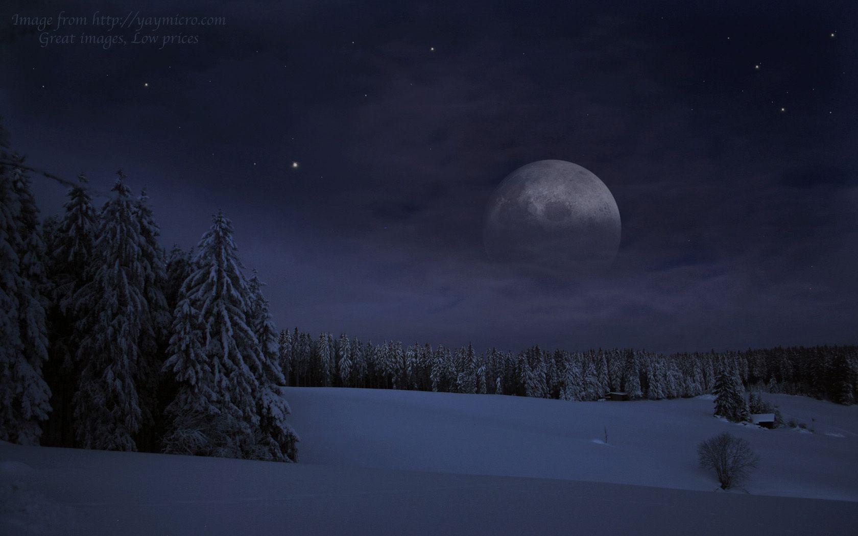 Snowy Forest at Night Wallpapers - Top Free Snowy Forest at Night ...