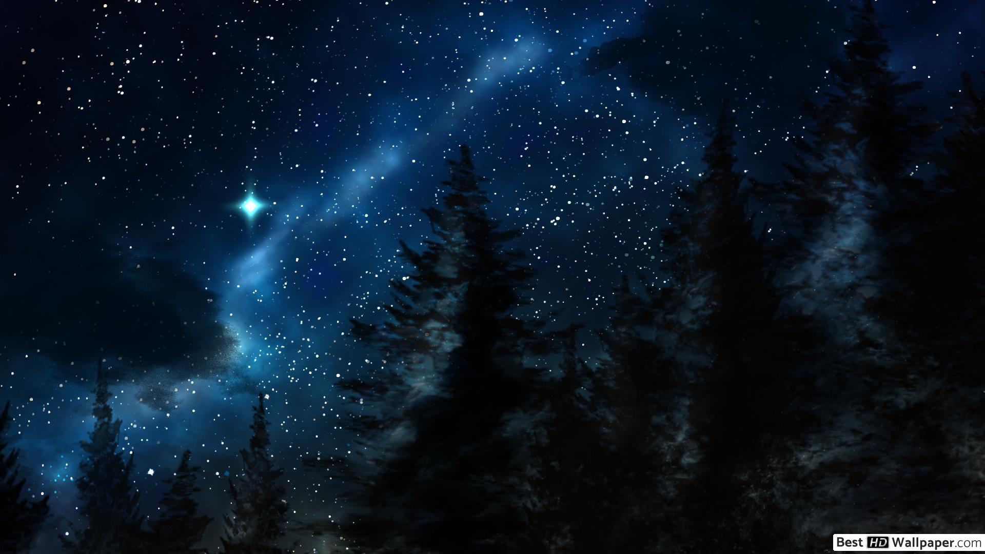 Snowy Forest at Night Wallpapers - Top Free Snowy Forest at Night ...