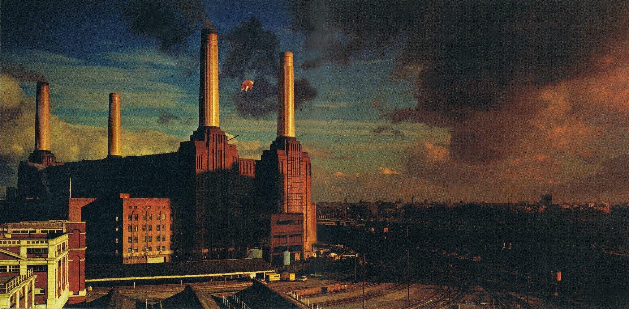Pink Floyd Animals Wallpapers - Top Free Pink Floyd Animals Backgrounds ...
