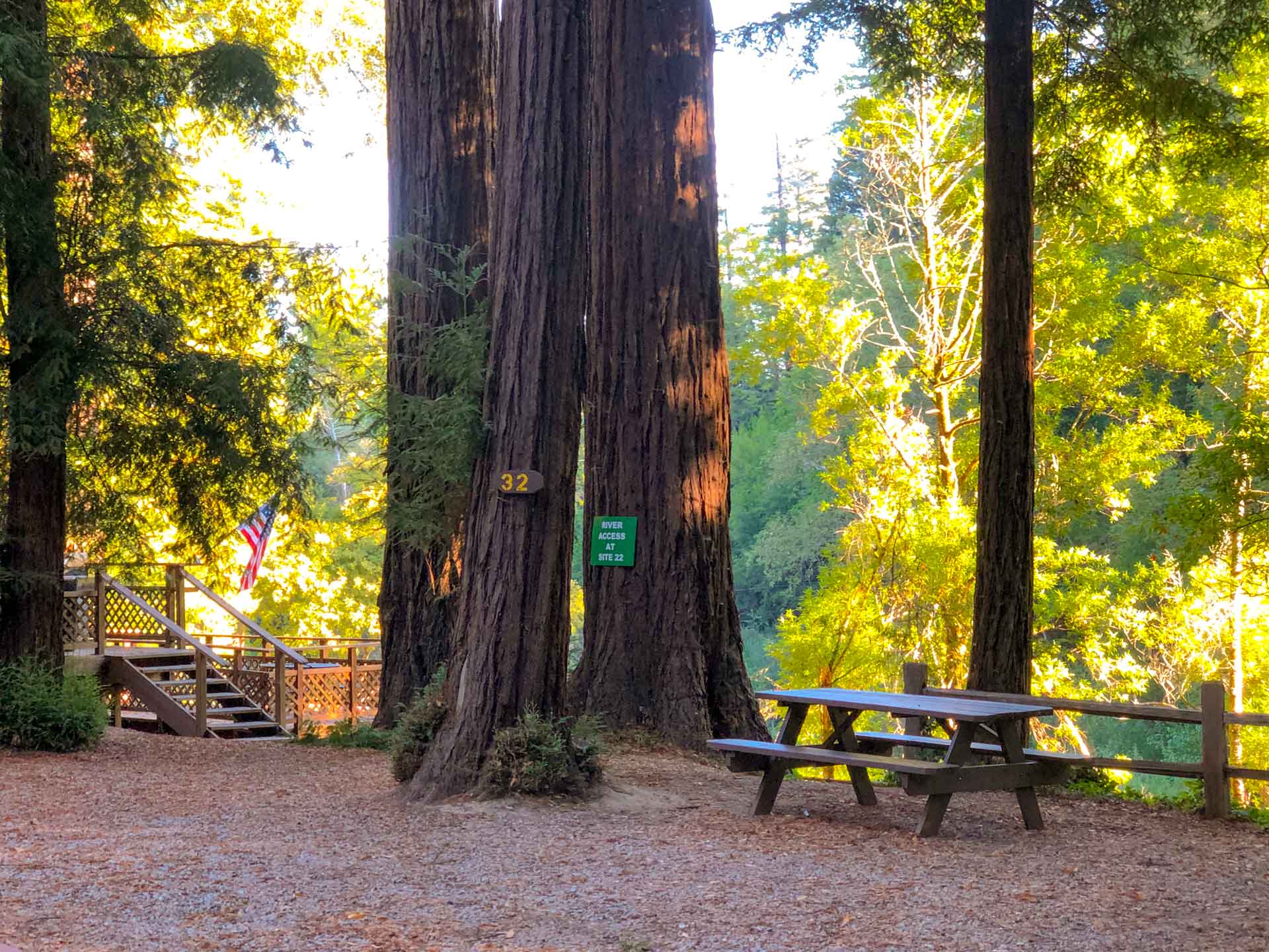 Santa Cruz Redwoods Wallpapers - Top Free Santa Cruz Redwoods ...
