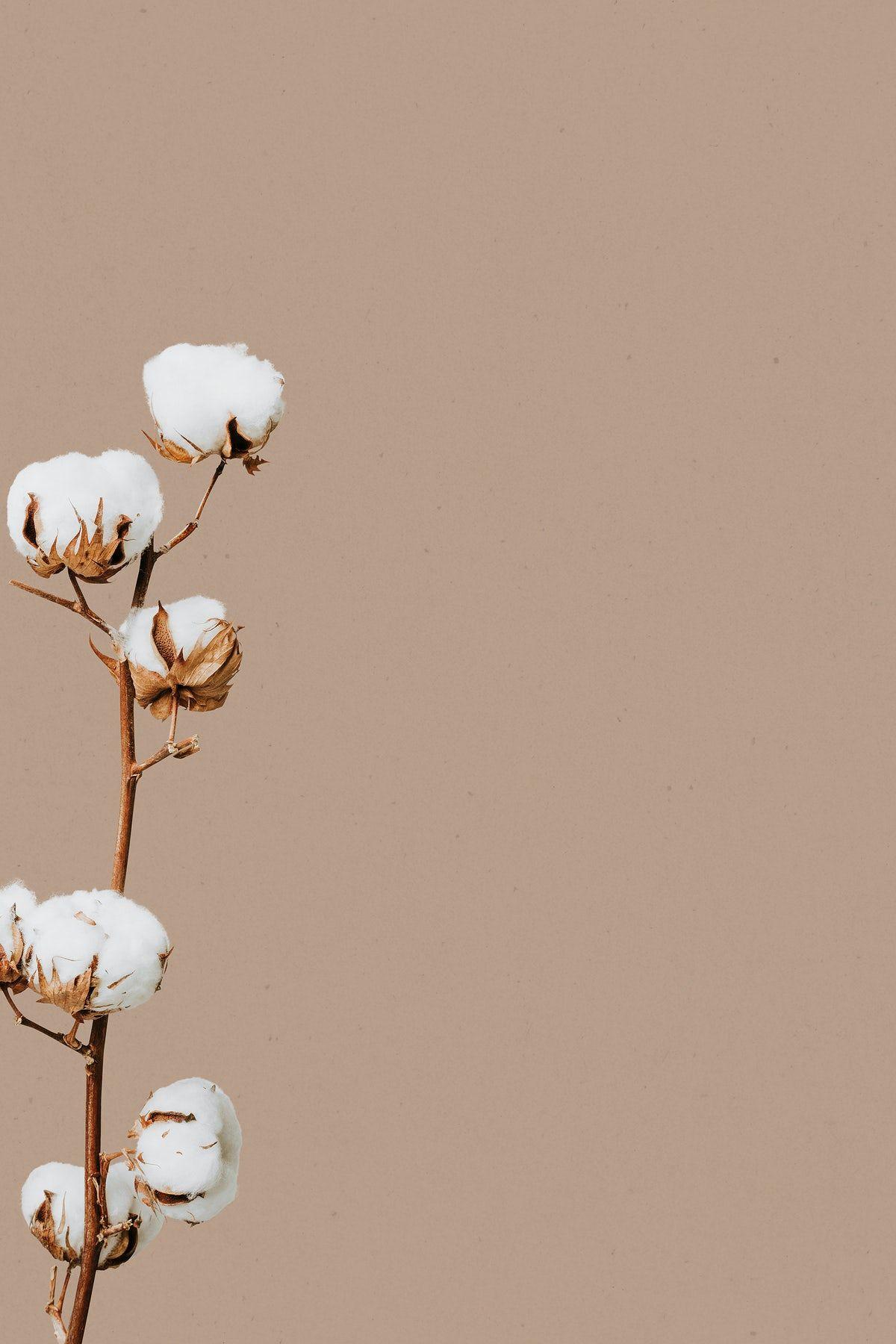 Minimal Floral Wallpapers - Top Free Minimal Floral Backgrounds ...
