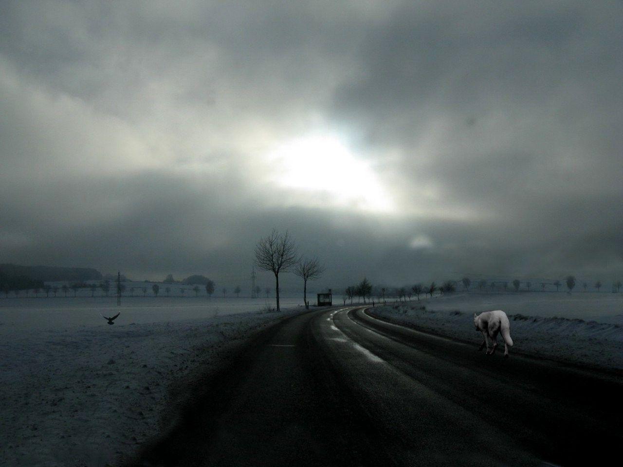 Lonely Road Wallpapers - Top Free Lonely Road Backgrounds - WallpaperAccess