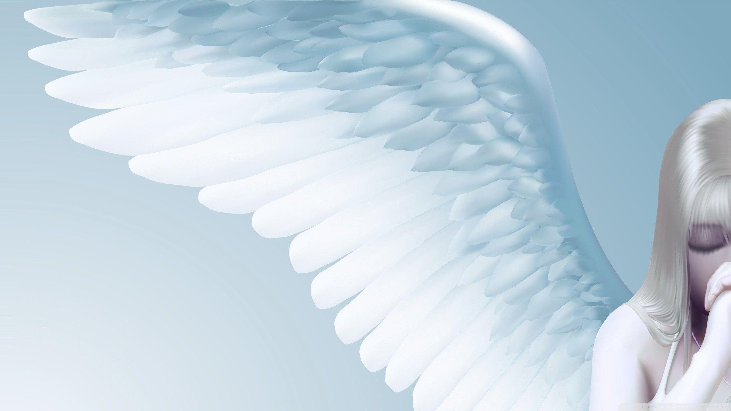 Angel 2560 X 1440 Wallpapers - Top Free Angel 2560 X 1440 Backgrounds ...