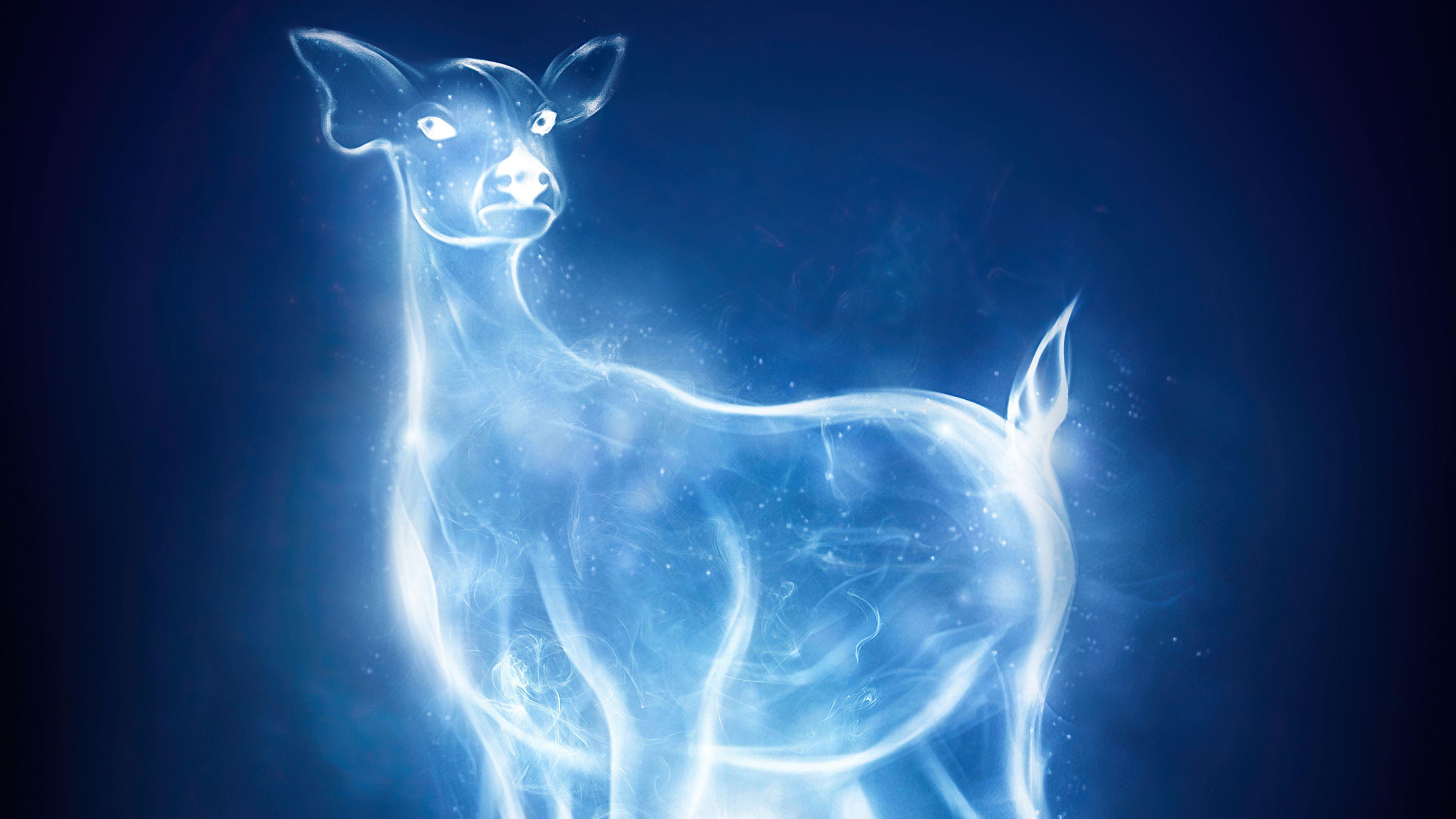 Harry Potter Patronus Wallpapers - Top Free Harry Potter Patronus ...