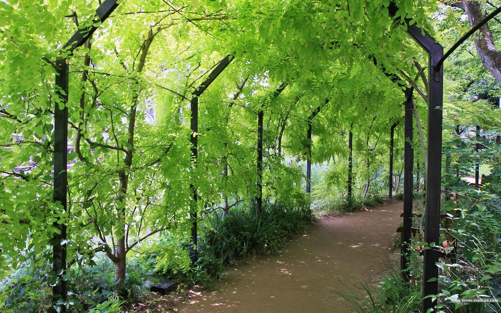 Green Japanese Wallpapers - Top Free Green Japanese Backgrounds ...