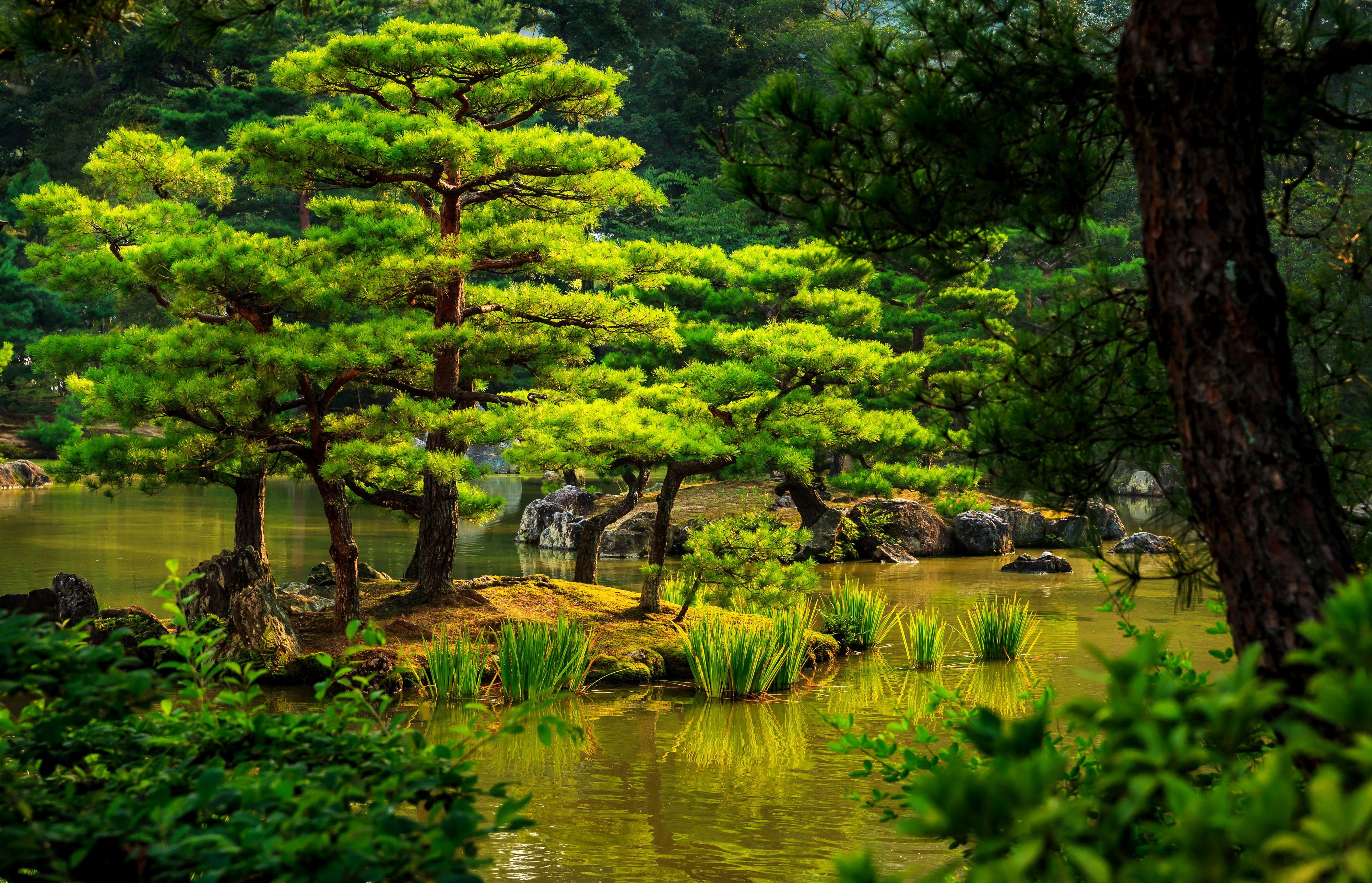 Green Japanese Wallpapers - Top Free Green Japanese Backgrounds ...