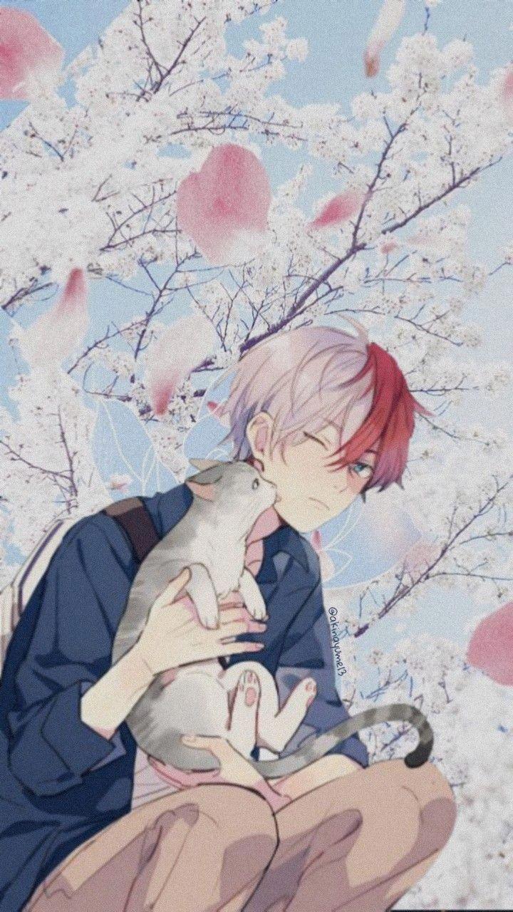 Cute Anime Cat Boy Wallpapers - Top Free Cute Anime Cat Boy Backgrounds ...