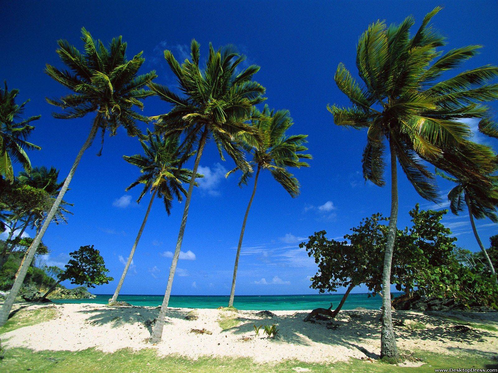 Dominican Republic Desktop Wallpapers - Top Free Dominican Republic ...
