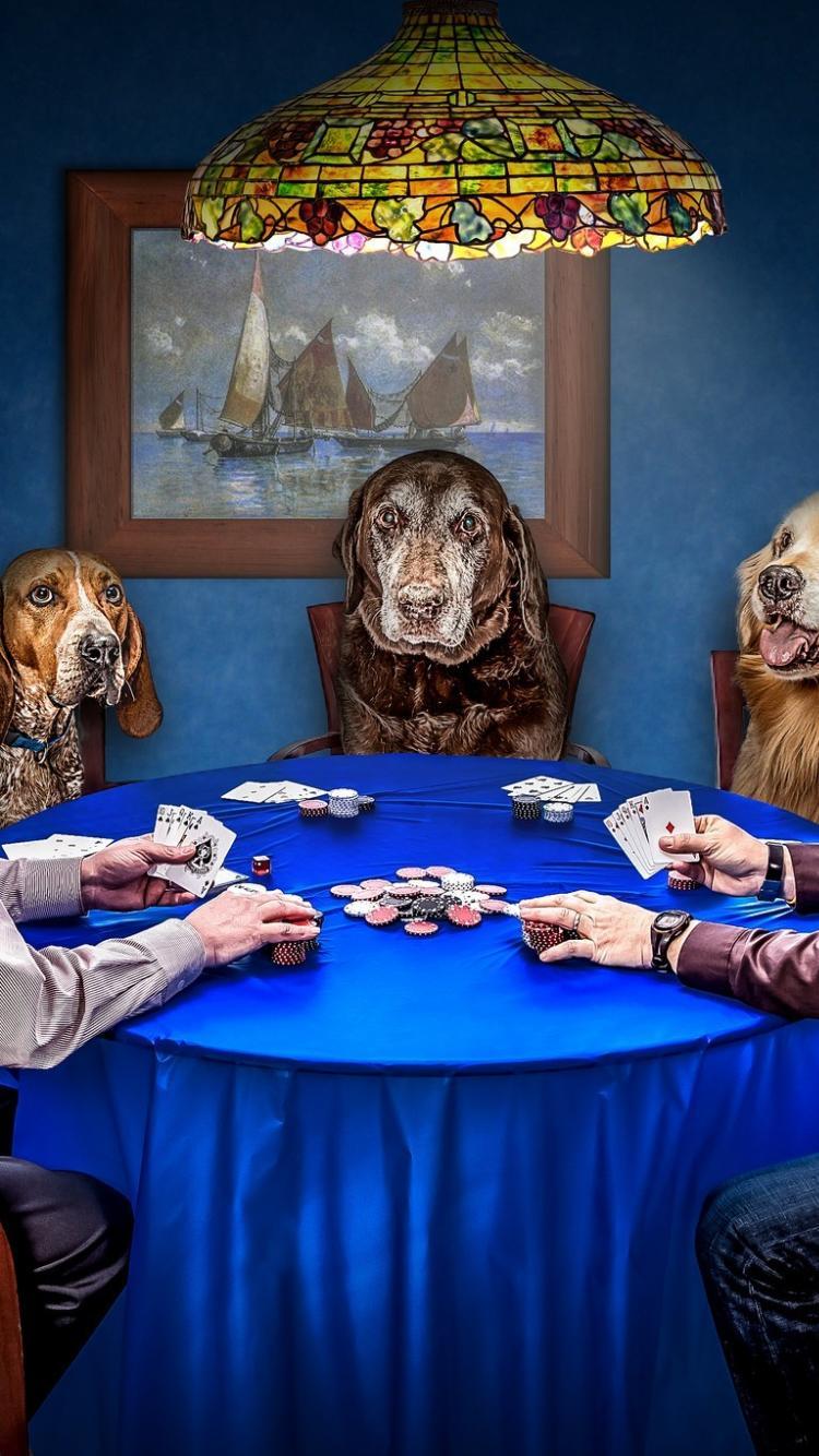 Dogs Playing Poker Wallpapers - Top Free Dogs Playing Poker Backgrounds ...