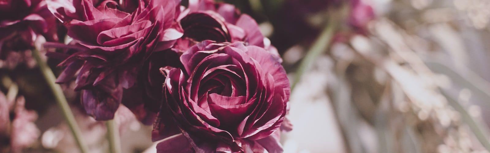 Rustic Rose Wallpapers - Top Free Rustic Rose Backgrounds - WallpaperAccess