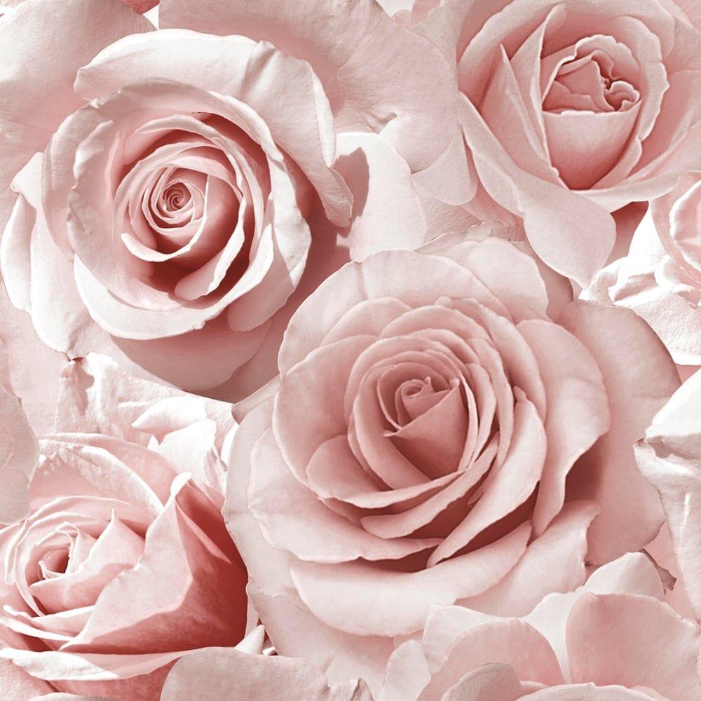 Rustic Rose Wallpapers - Top Free Rustic Rose Backgrounds - WallpaperAccess