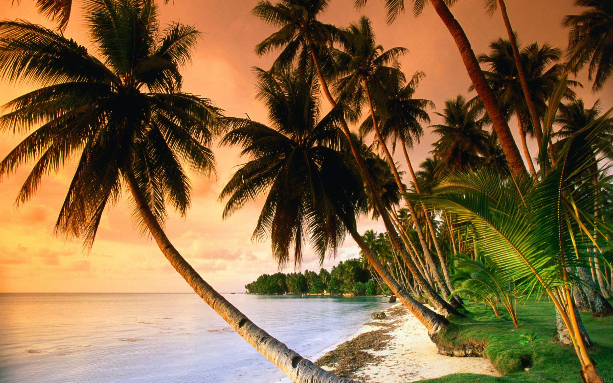 Exotic Photography Wallpapers - Top Free Exotic Photography Backgrounds ...