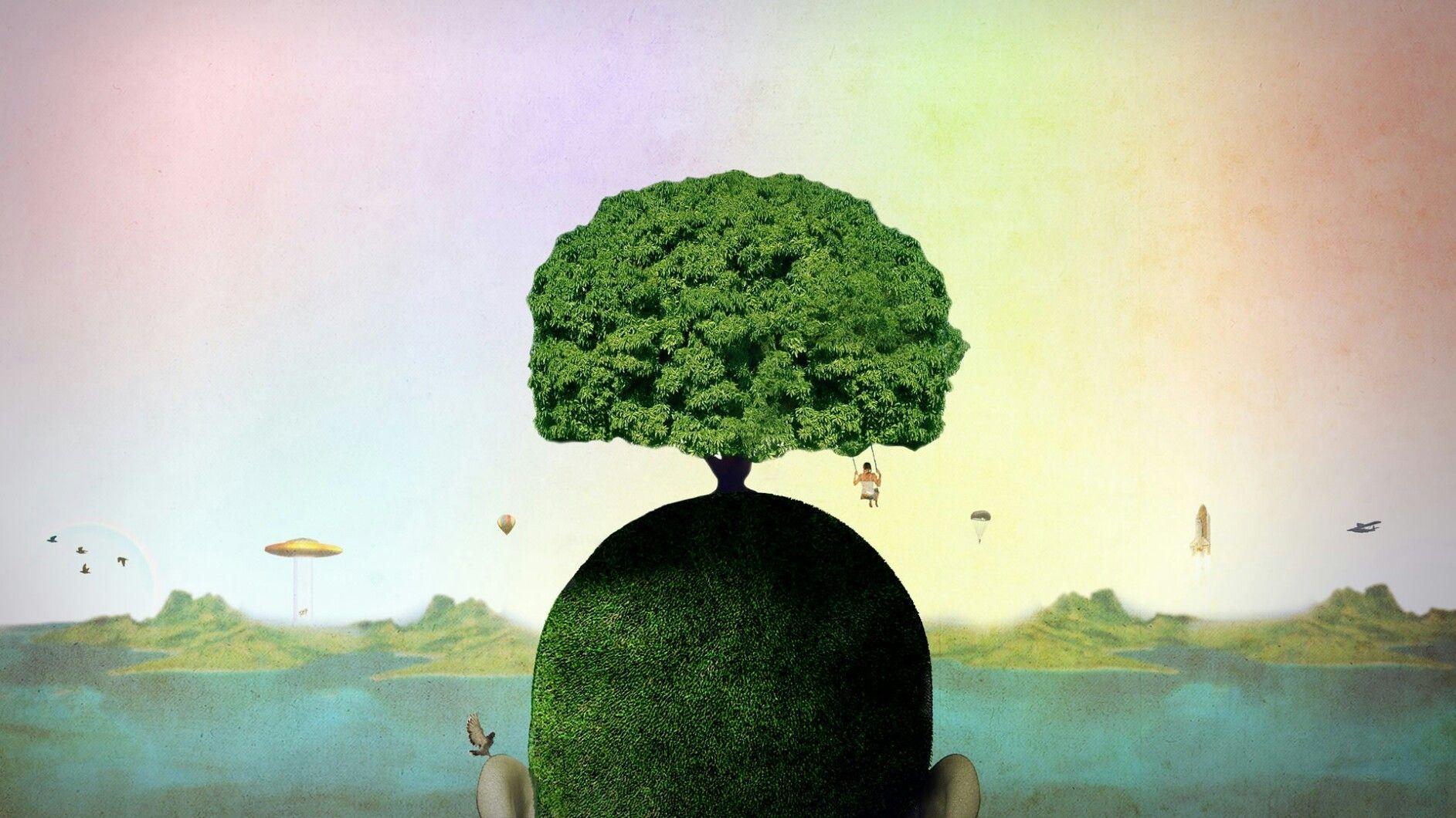 Ecosystem Wallpapers - Top Free Ecosystem Backgrounds - WallpaperAccess