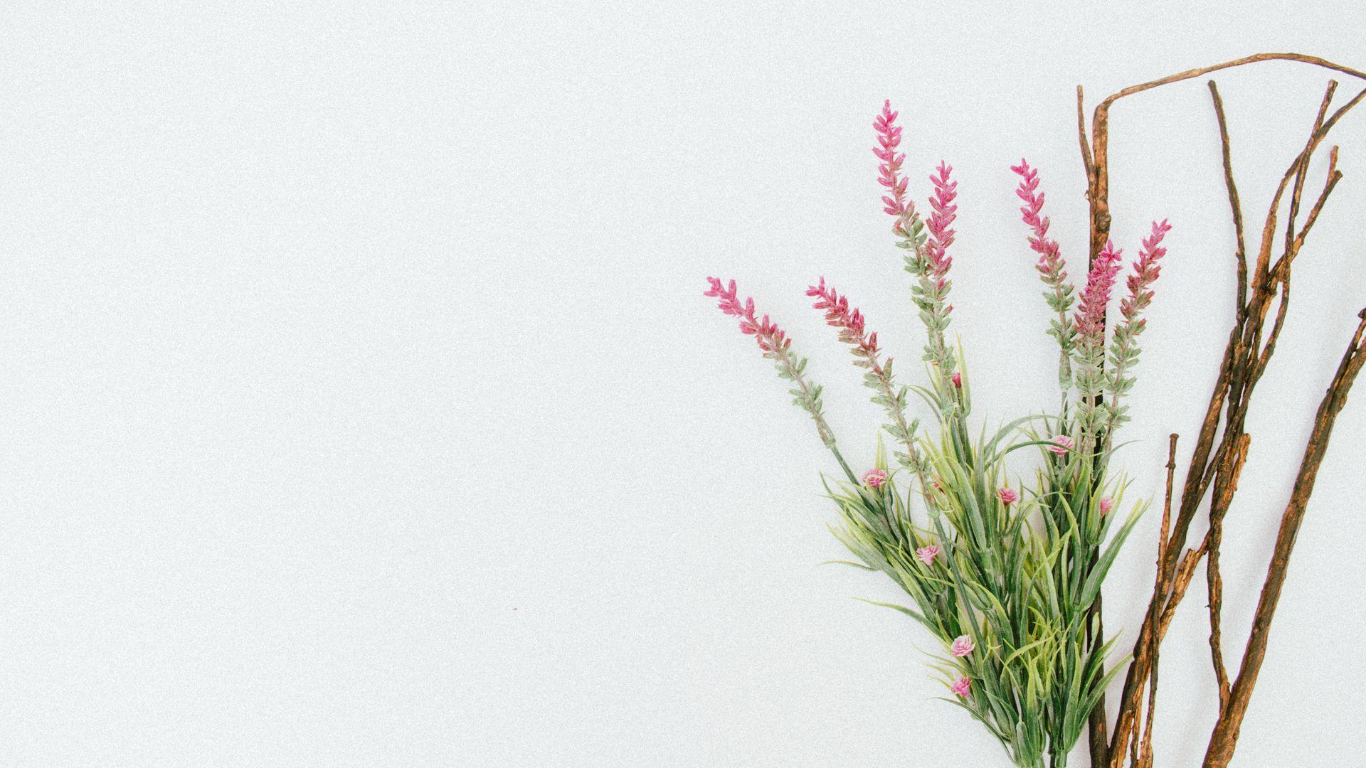 Flower Minimalist Desktop Wallpapers - Top Free Flower Minimalist ...