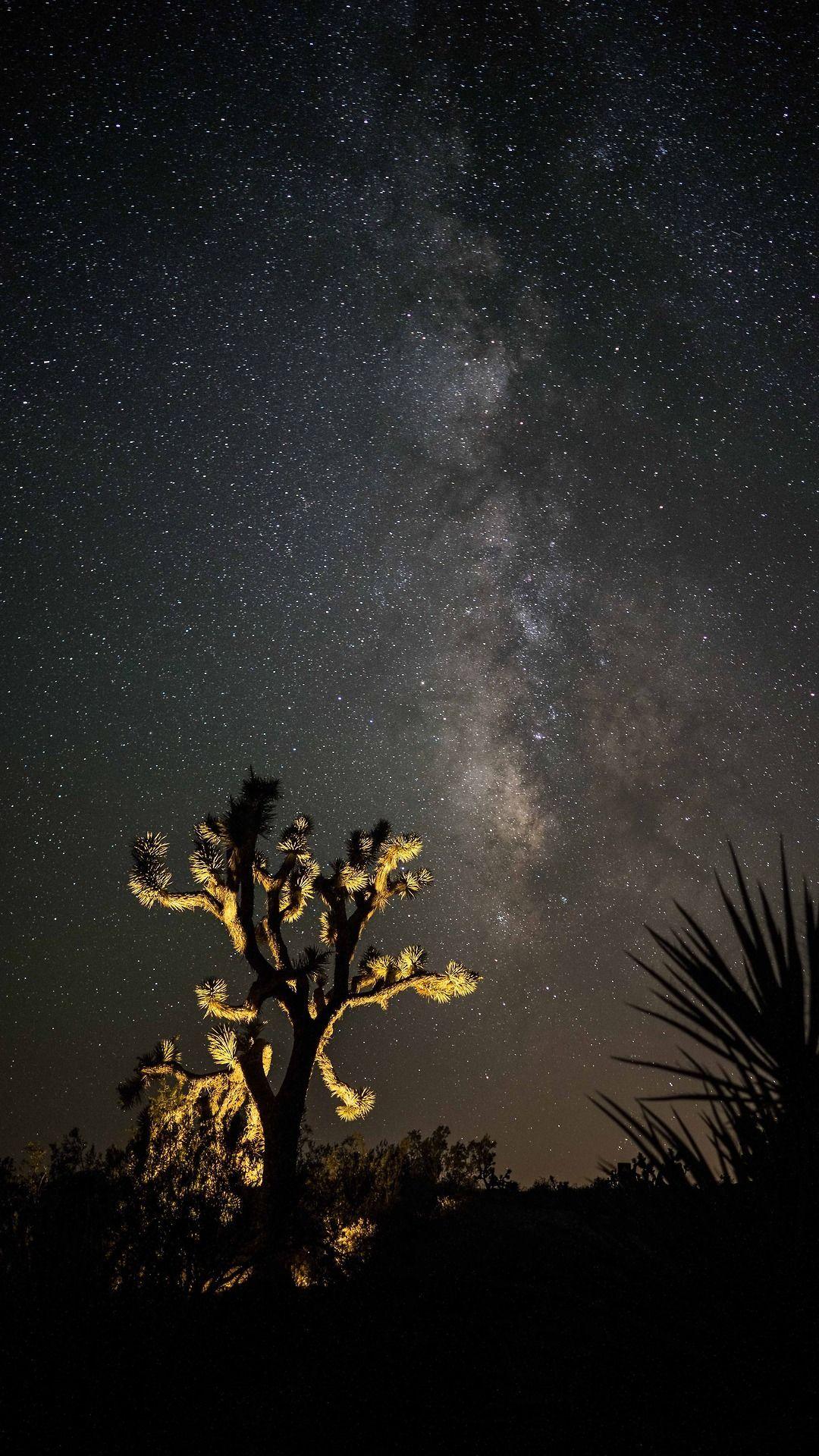Night Time iPhone Wallpapers - Top Free Night Time iPhone Backgrounds ...