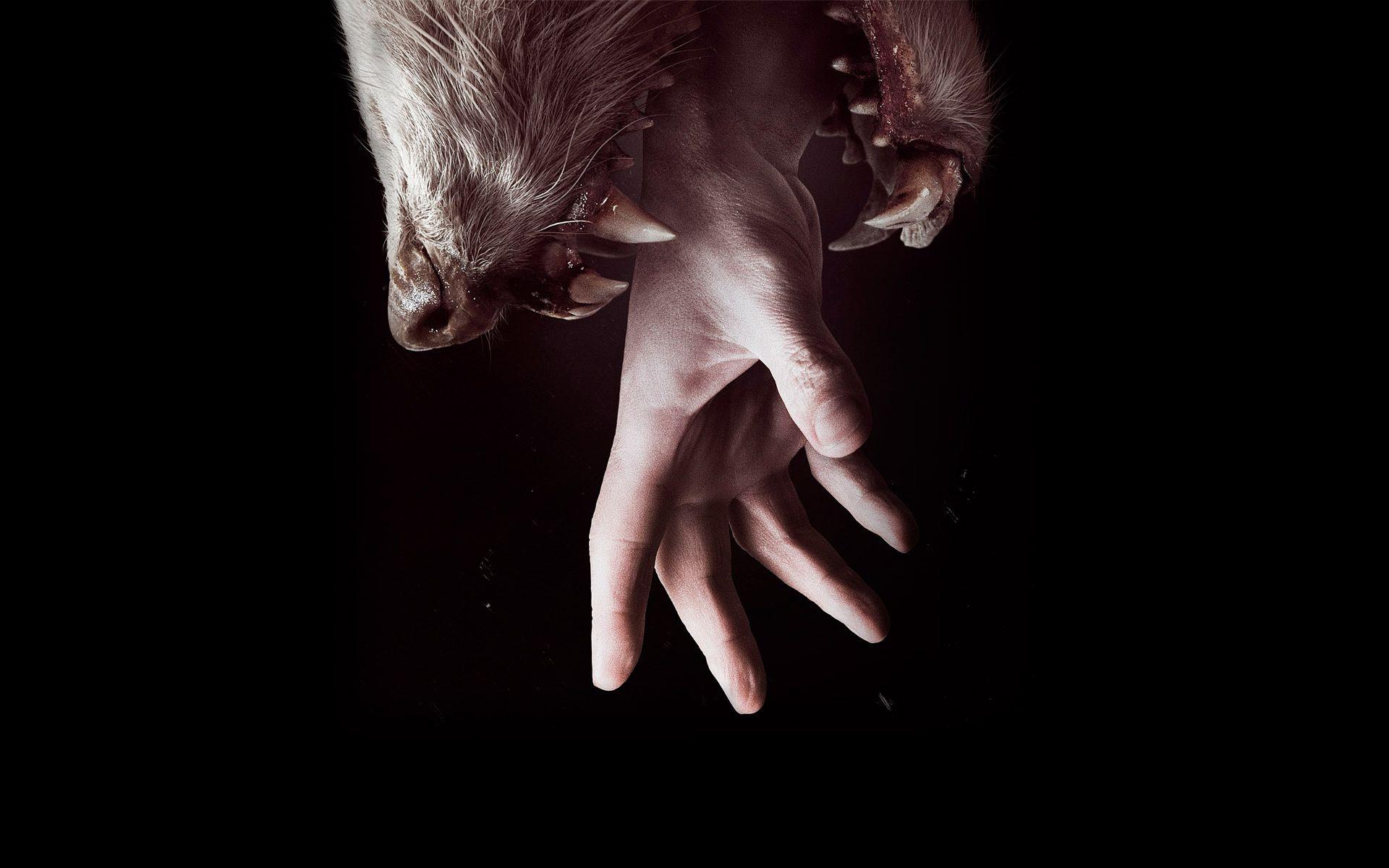 Wolf Horror Wallpapers - Top Free Wolf Horror Backgrounds - WallpaperAccess