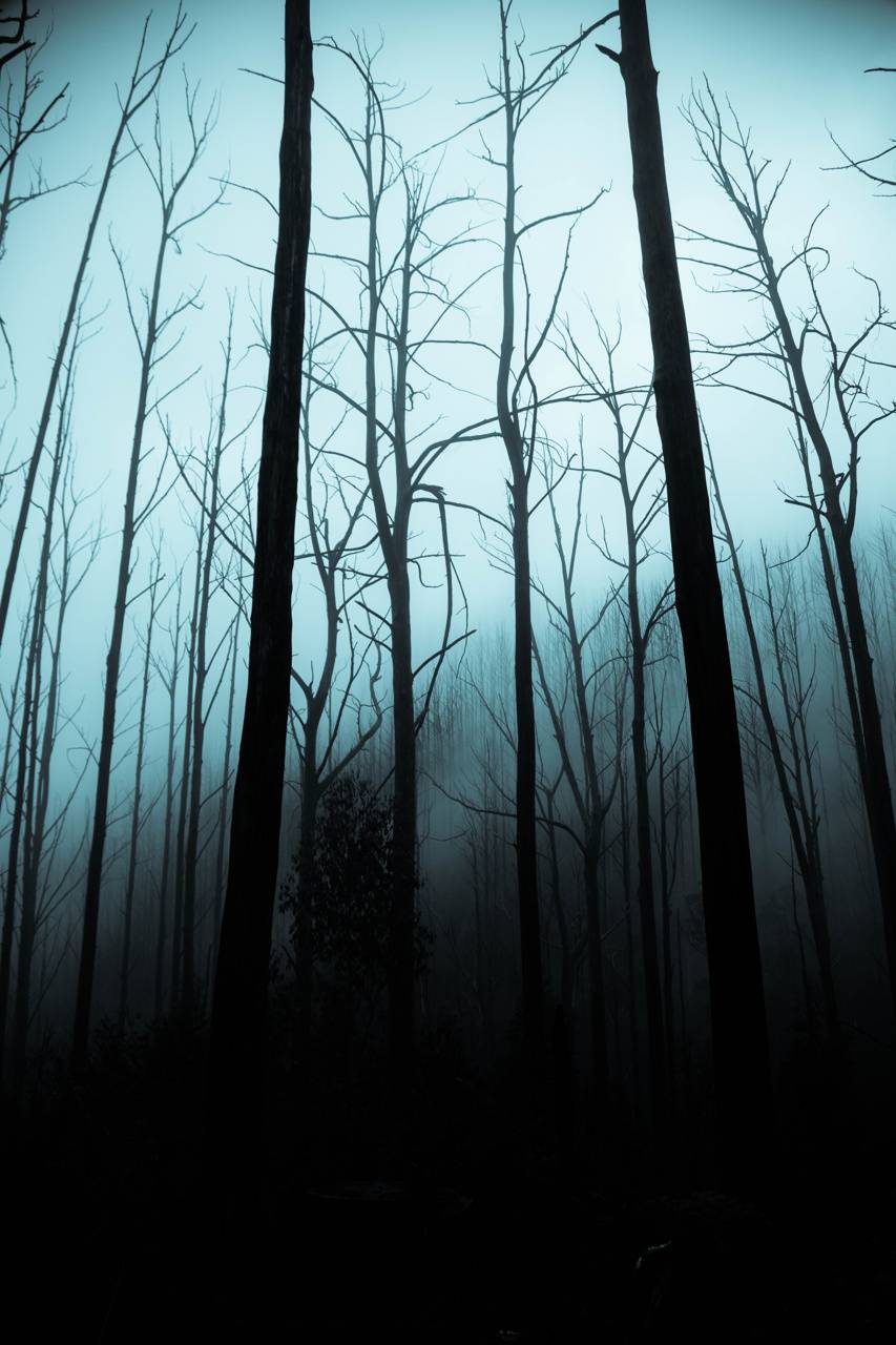 Halloween Forest Wallpapers - Top Free Halloween Forest Backgrounds ...
