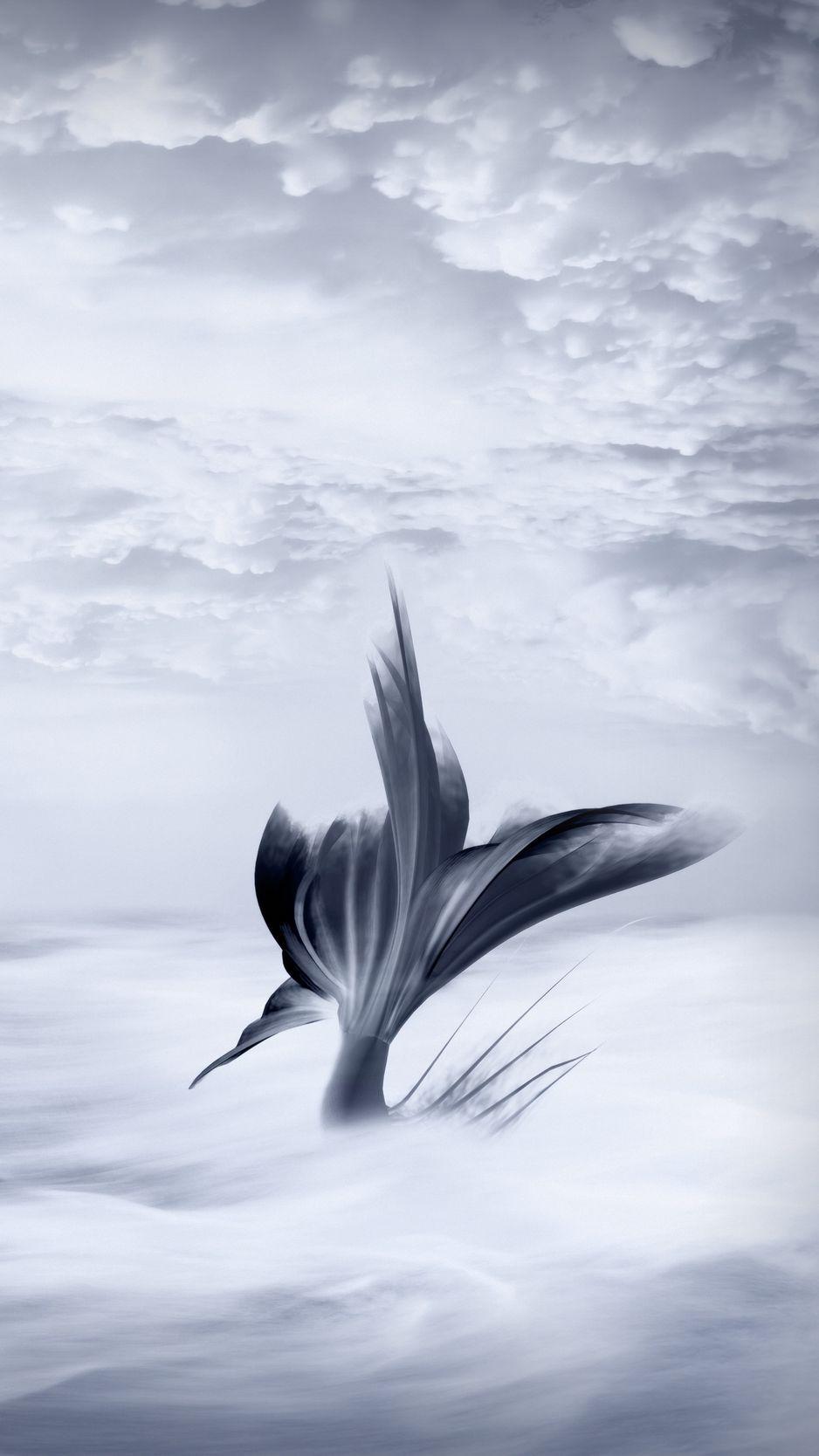 Black Mermaid Wallpapers - Top Free Black Mermaid Backgrounds ...